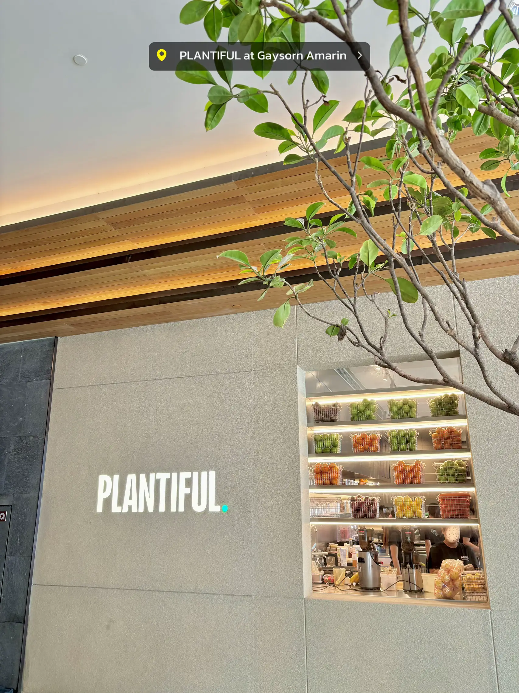 20 ไอเดียยอดนิยมเกี่ยวกับ Caffeine-Freeicedcoffee ในปี 2024