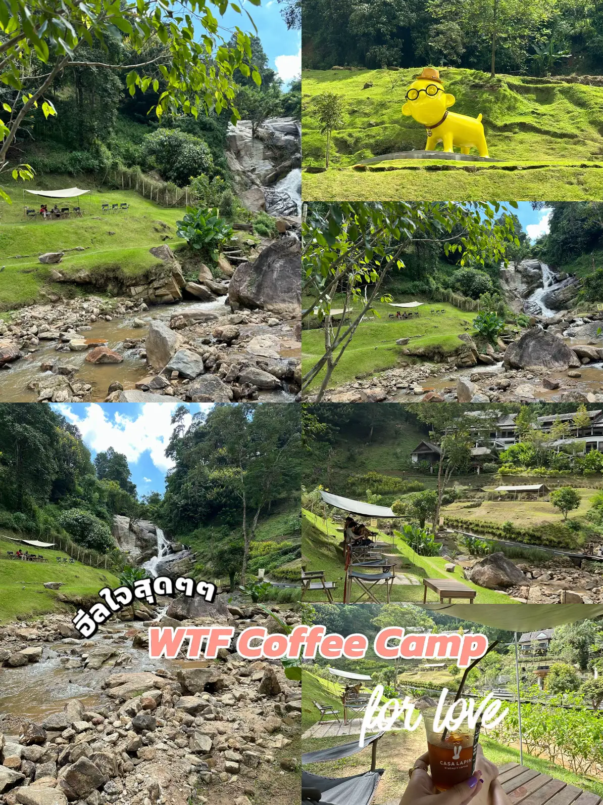 WTF Coffee Camp | แกลเลอรีที่โพสต์โดย Life Cho | Lemon8