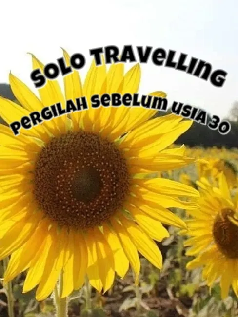 solo travelling | Galeri diposting oleh kpuput | Lemon8