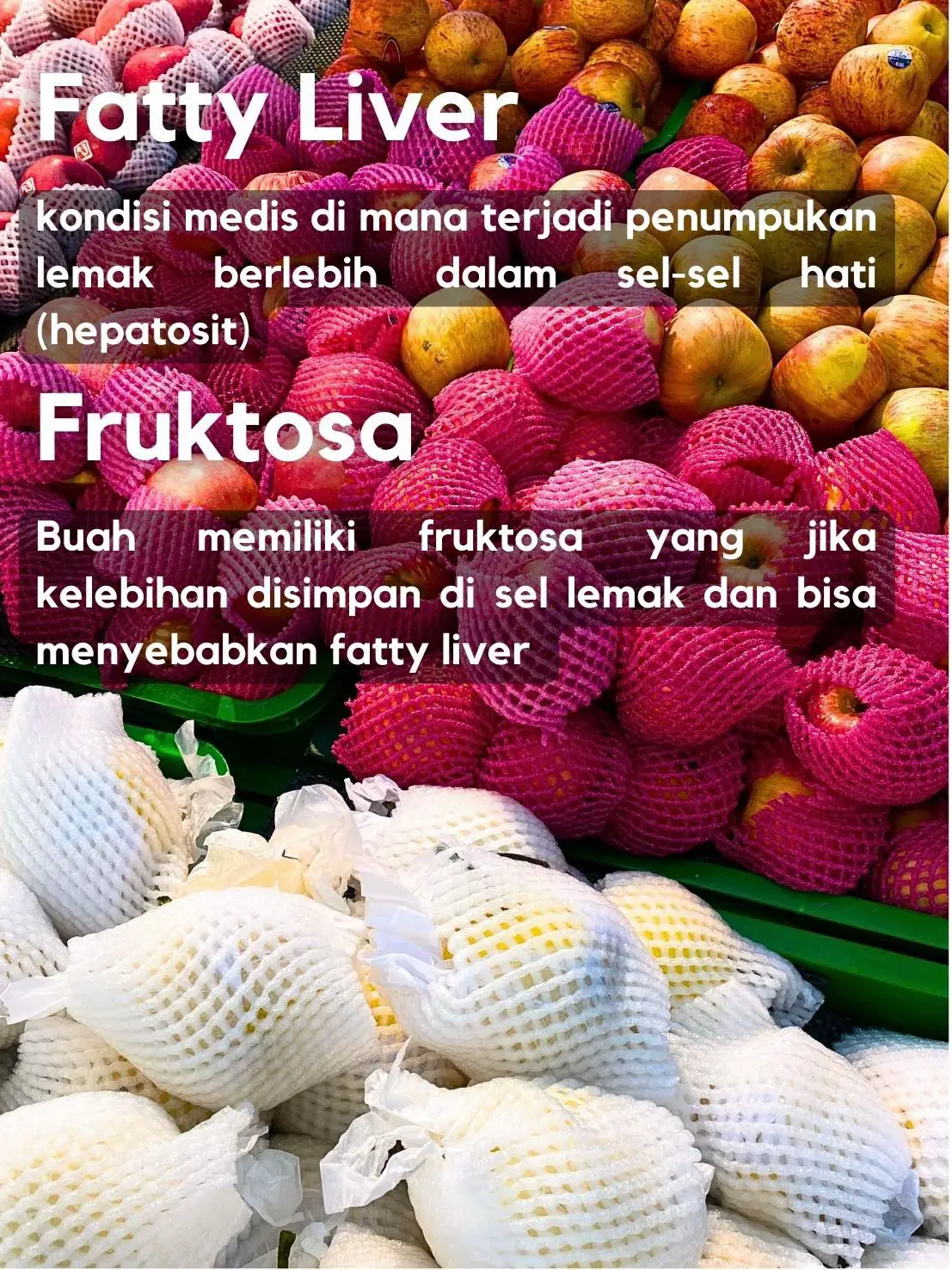 🍏🍎 Isi Petisimu! Boleh Kah Buah Buat Fatty Liver? | beliiciaが投稿したフォトブック | Lemon8