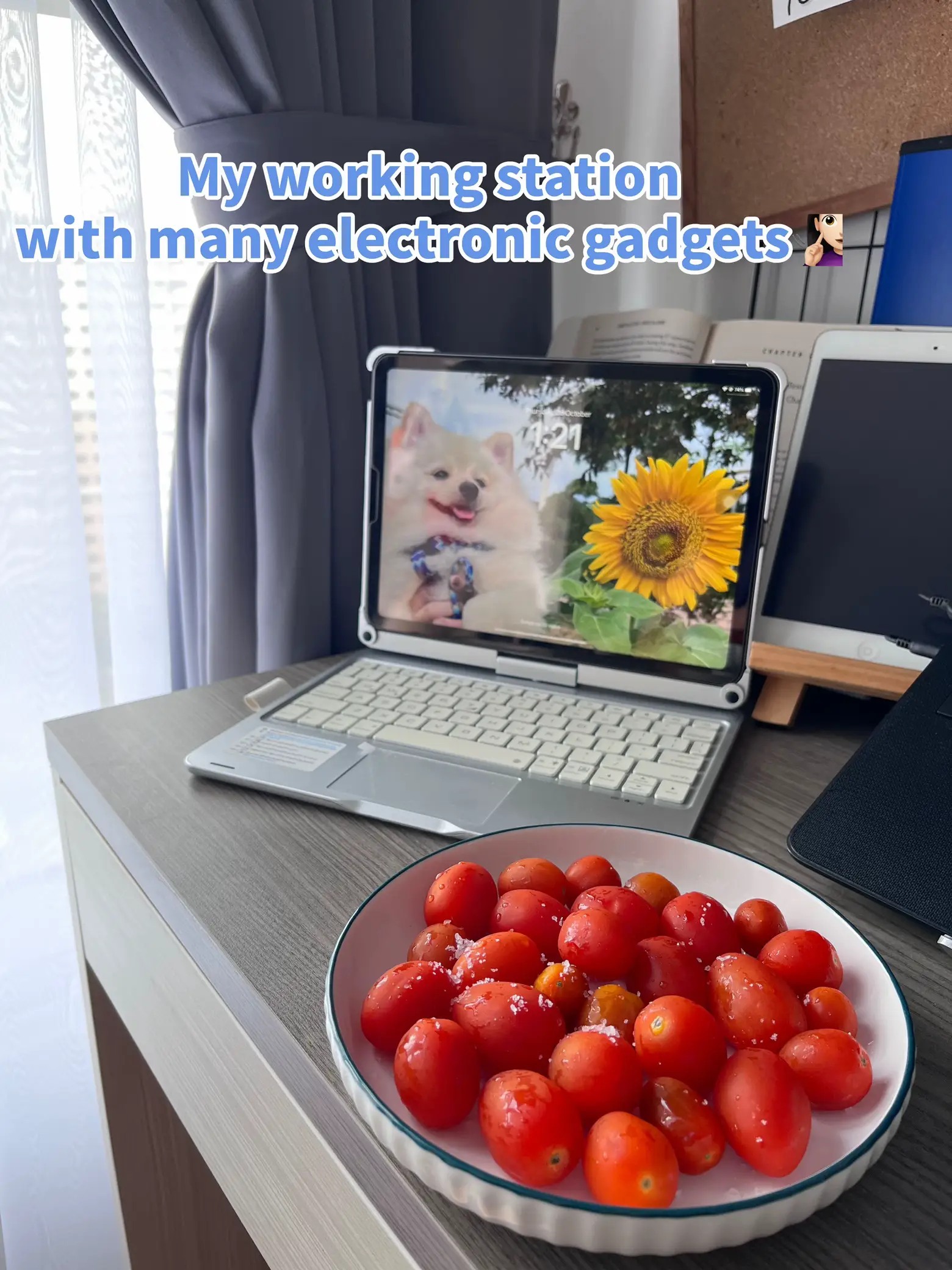 PLOG| Work Station of Mine and Discipline Day💗 | Galeri disiarkan oleh ...