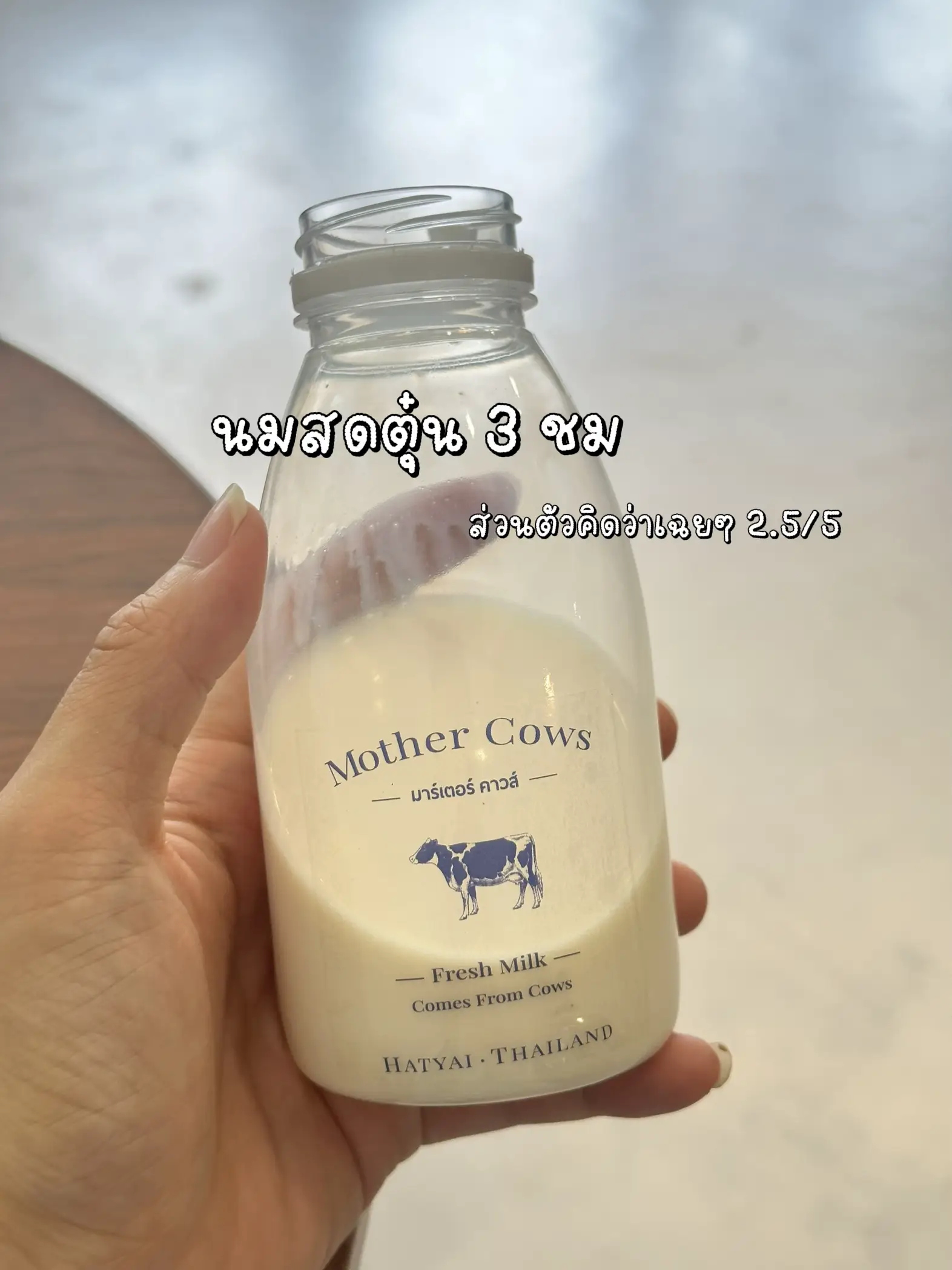 Mother cow ร้านดังหาดใหญ่ มาเปิดที่เมืองทองแล้ว! 😍😍 | แกลเลอรีที่โพสต์ ...