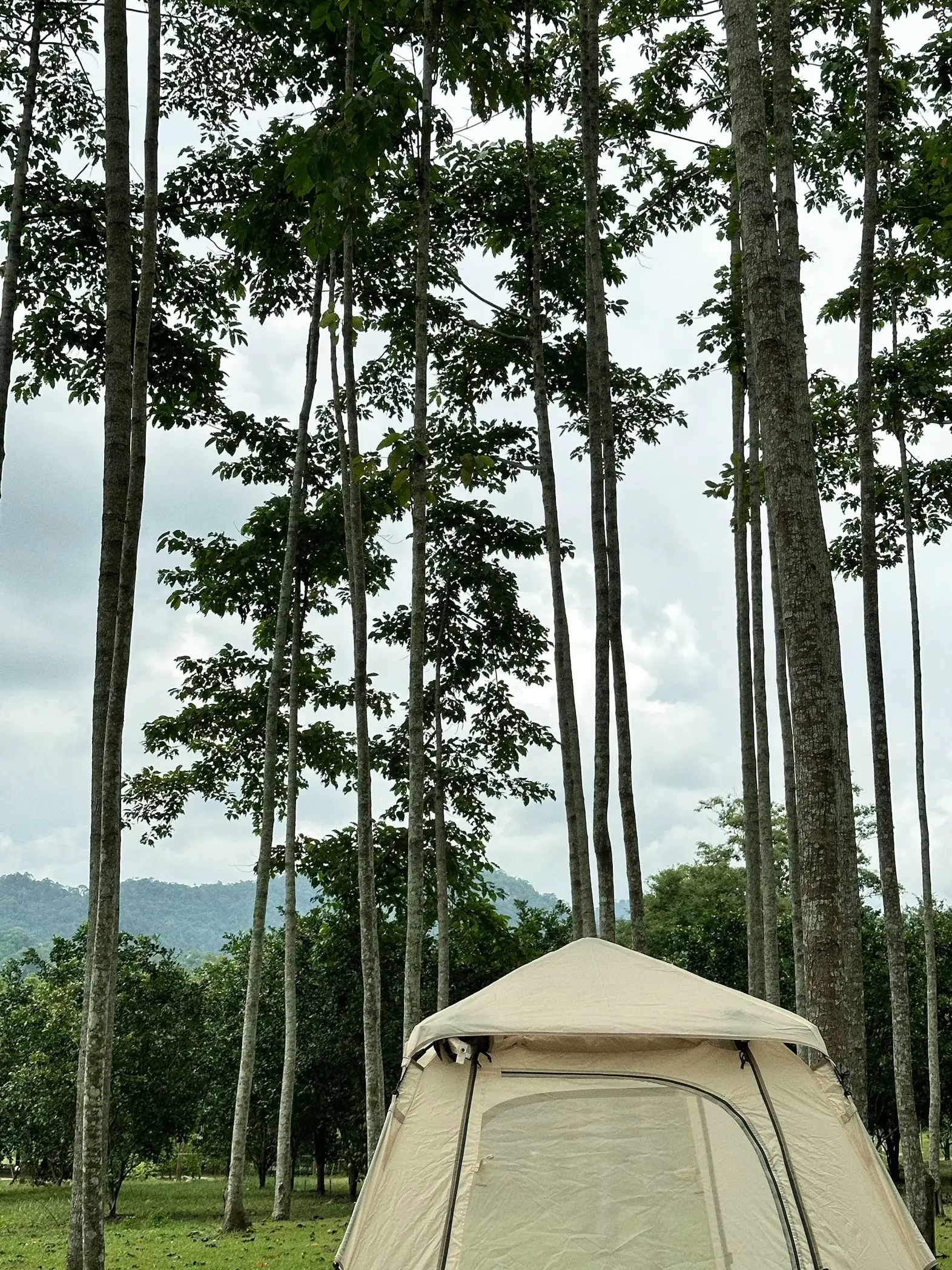 🏕️ NA-WANA (ณ วนา) อ.ชะอม จ.สระบุรี สายแคมป์ต้องมา! | แกลเลอรีที่โพสต์ ...