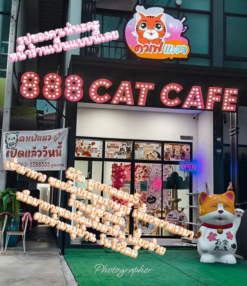 888 cat cafe 🐱🐱 | แกลเลอรีที่โพสต์โดย Bubble🫶🏻 | Lemon8