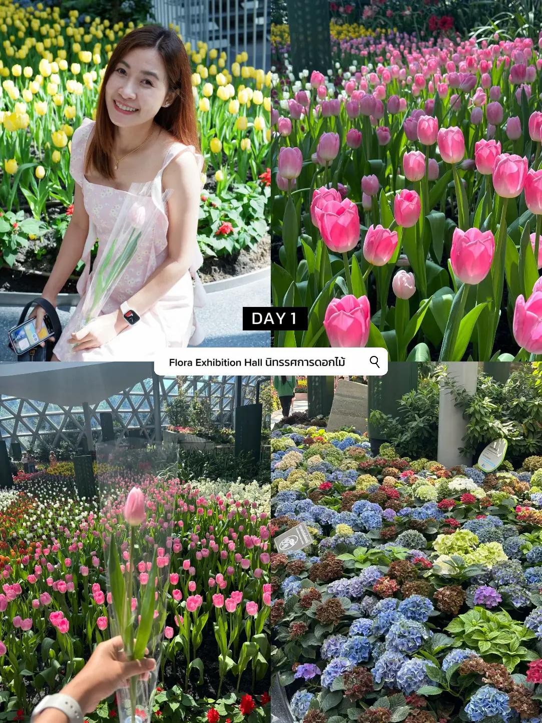 แจกทริปเที่ยวระยอง 3 วัน 2 คืน | แกลเลอรีที่โพสต์โดย prem🦢🫧 | Lemon8