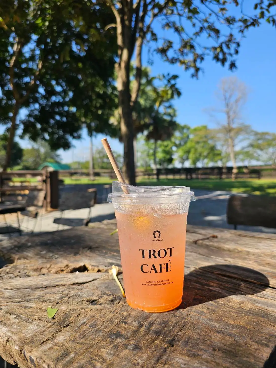 Trot Cafe 📍 เขาใหญ่ ฟีลฟาร์มฮีลใจสุดๆ | แกลเลอรีที่โพสต์โดย Mothatips ...