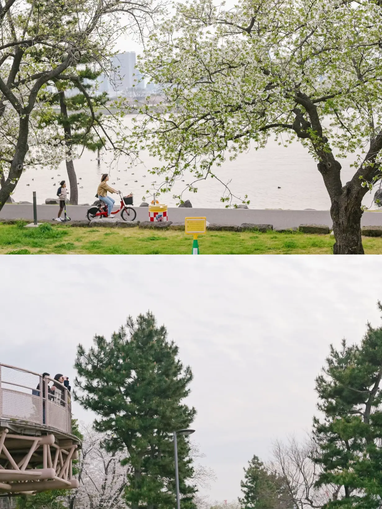 นั่งดูพระอาทิตย์ลับขอบฟ้าที่ ‘Odaiba Beach’ 🌸🌉 | แกลเลอรีที่โพสต์โดย lbzero | Lemon8