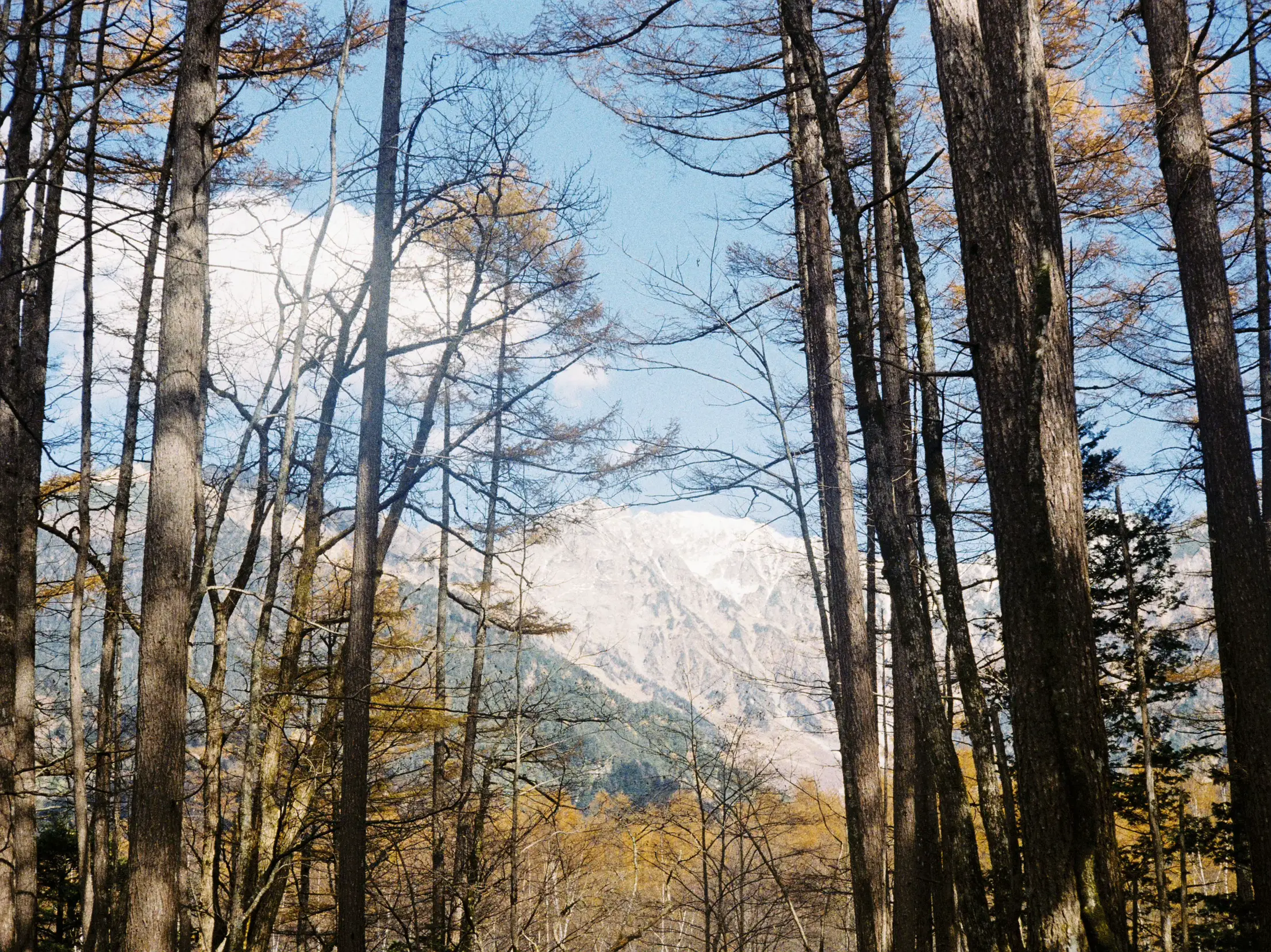 JAPAN FLIM | แกลเลอรีที่โพสต์โดย Aun🥓 | Lemon8