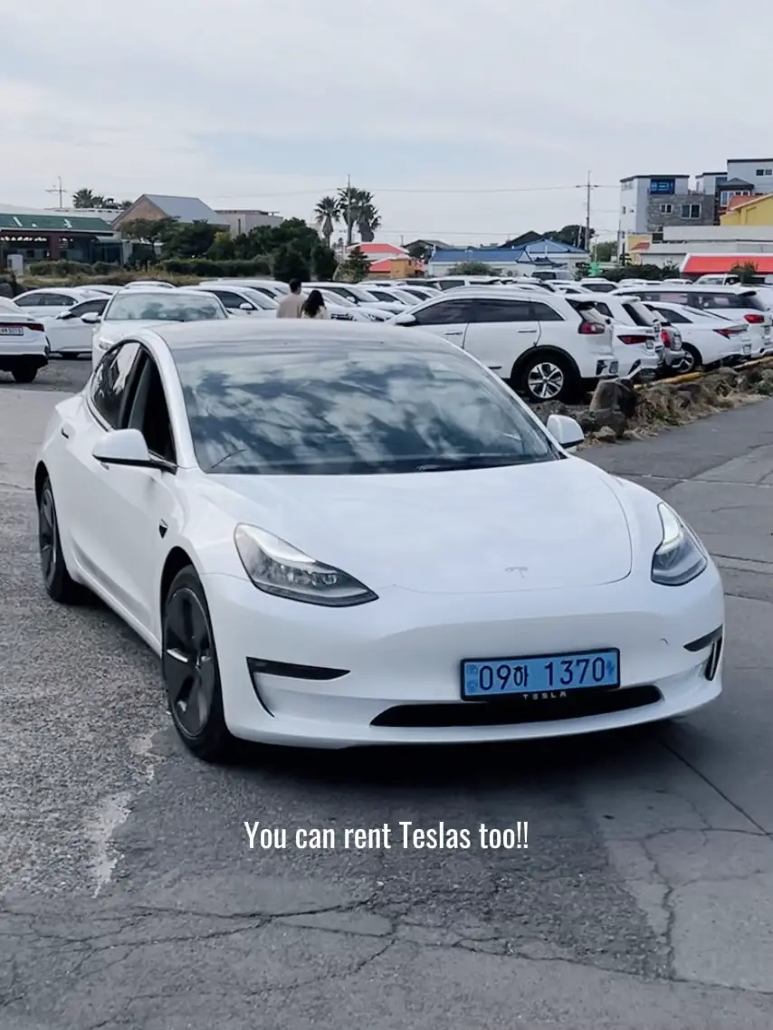 🇰🇷 Jeju Driving & Car Rental Must-Know Tips! 🚗💨 | Gallery posted by ...