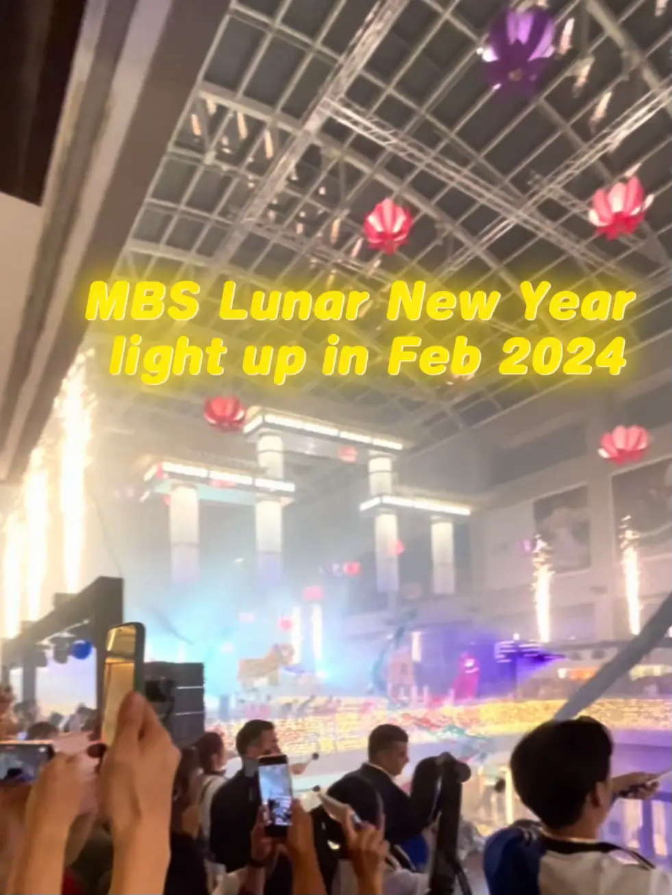 MBS Lunar New Year light up in Feb 2024 | Video published by Jess Thia | Lemon8