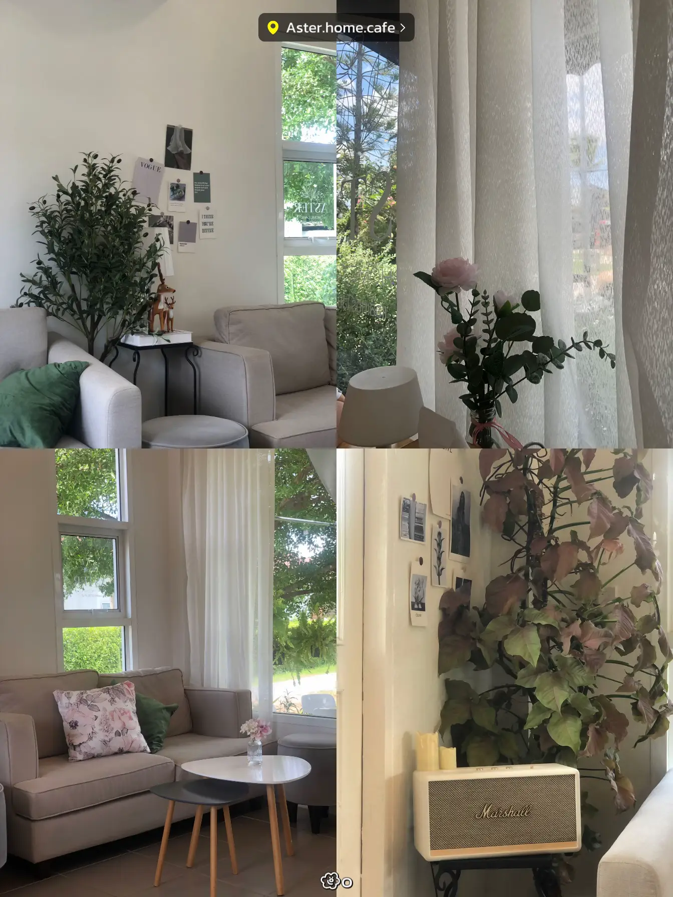 Aster.home.cafe☕️ | คาเฟ่นั่งทำงานย่านดอยสะเก็ด โฮมคาเฟ่💻💬 | แกลเลอรีที่โพสต์โดย เท็นเอง ⌣̈⃝ ...