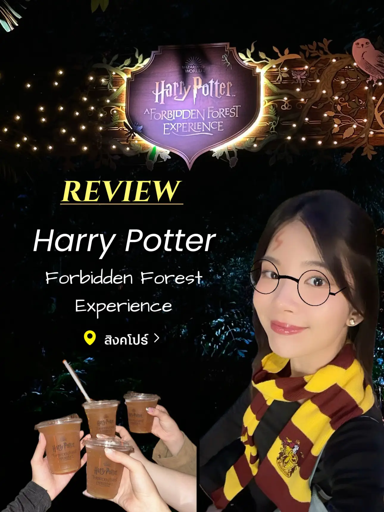 ⚡️รีวิว Harry Potter Forbidden Forest 🌳🚫🪄🇸🇬 | แกลเลอรีที่โพสต์โดย ...