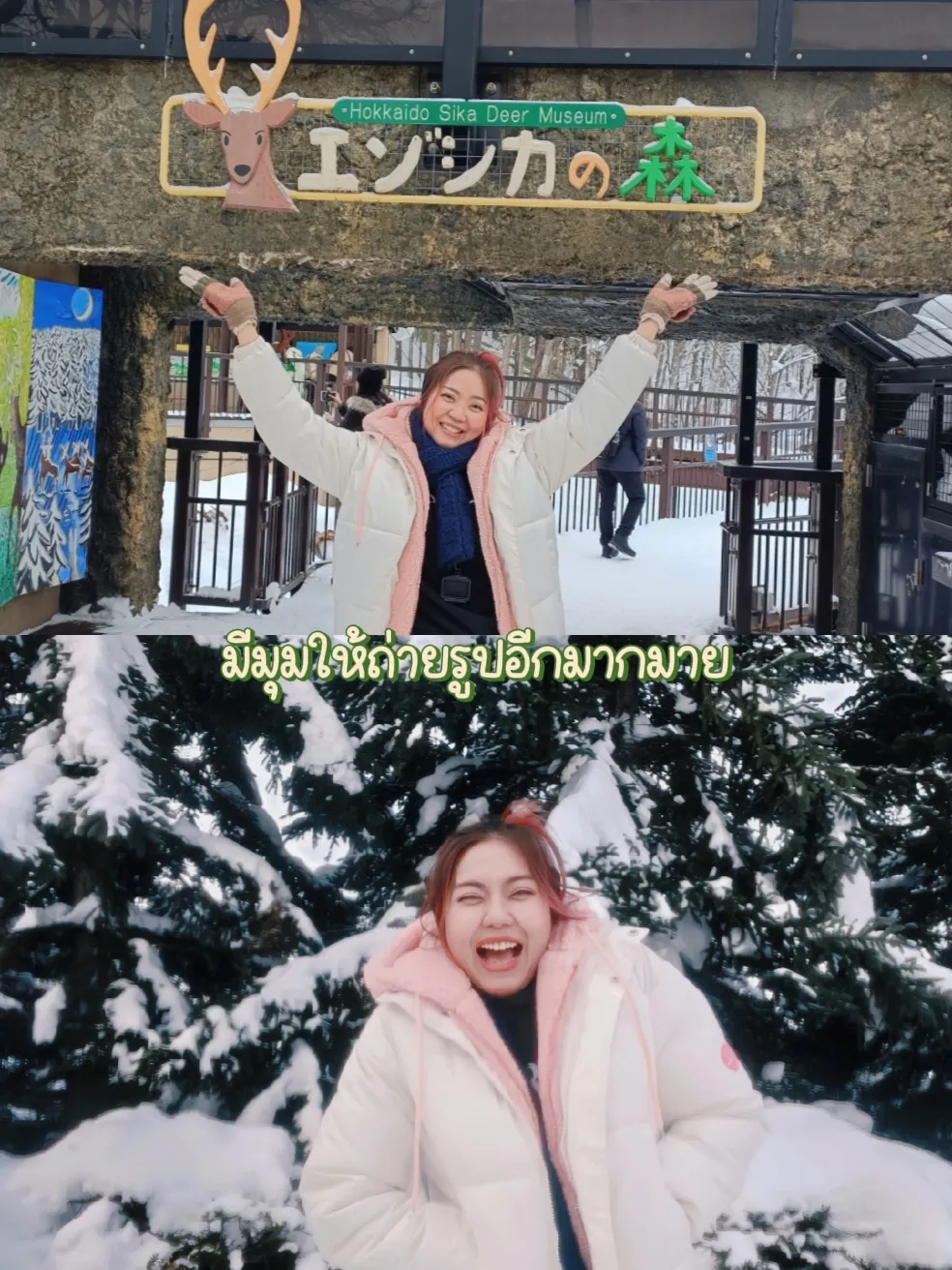 รีวิวเที่ยว Asahiyama Zoo พาเหรดนกเพนกวิ้น | แกลเลอรีที่โพสต์โดย im.zaii.story | Lemon8