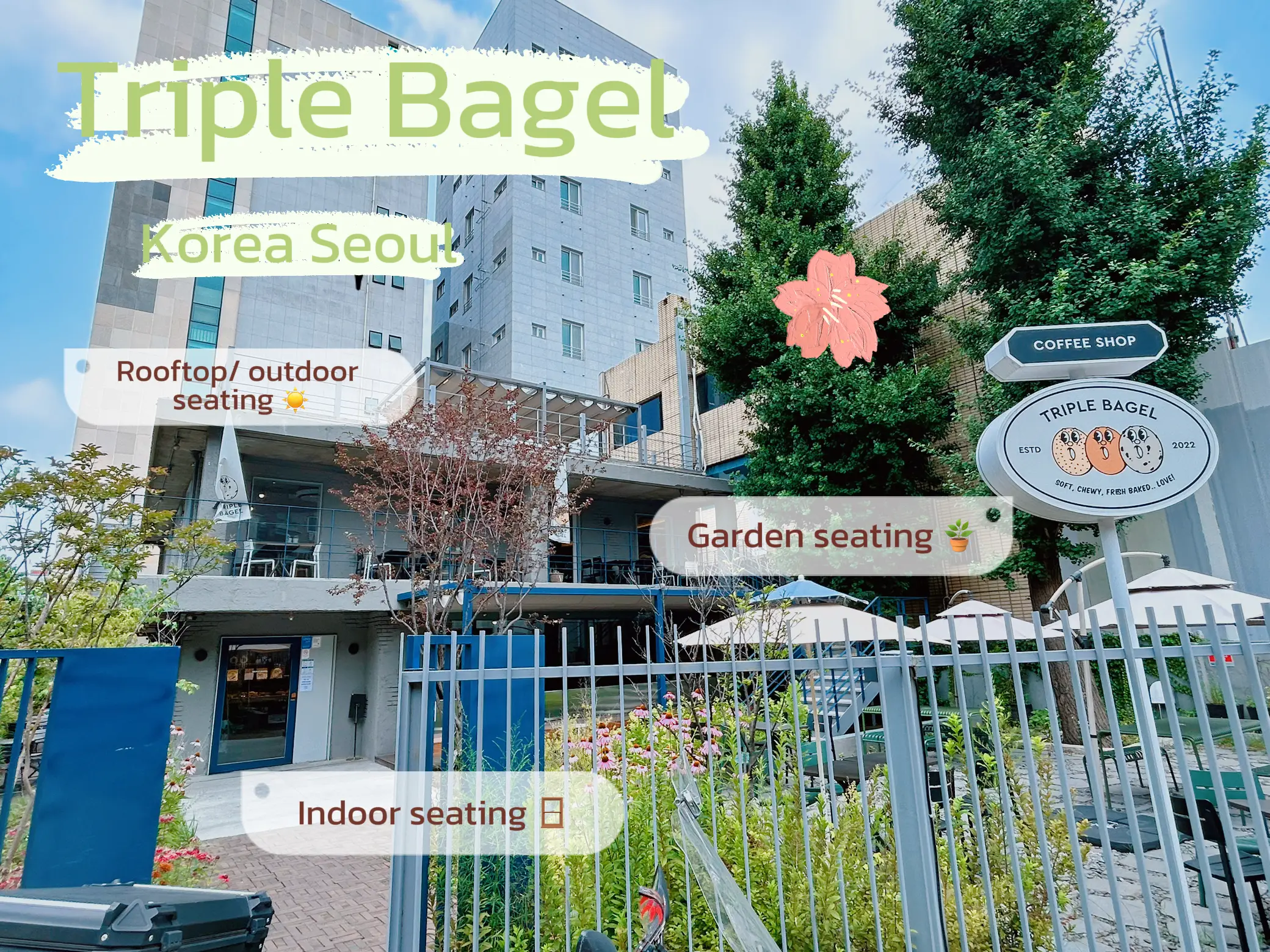 Triple Bagel - Seoul recommends 🥯🇰🇷😋 | แกลเลอรีที่โพสต์โดย Fragile ...