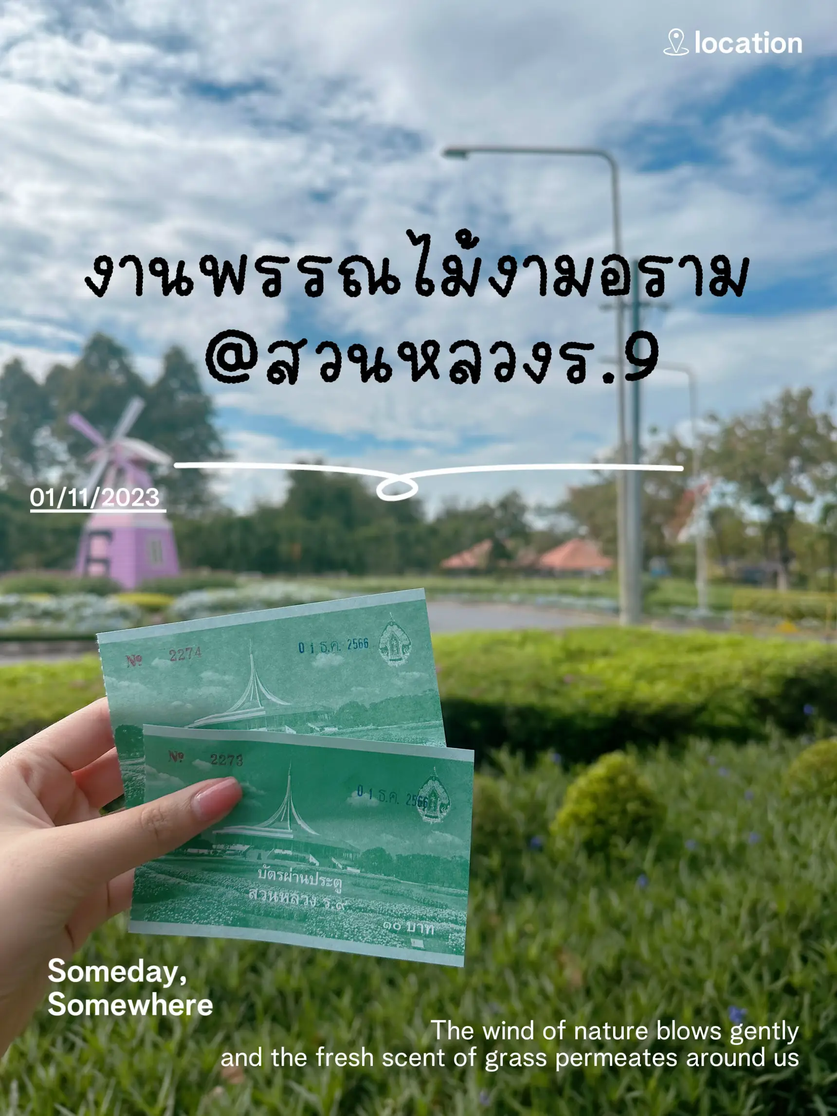 Someday,Somewhere | แกลเลอรีที่โพสต์โดย Natthawadee Pet | Lemon8