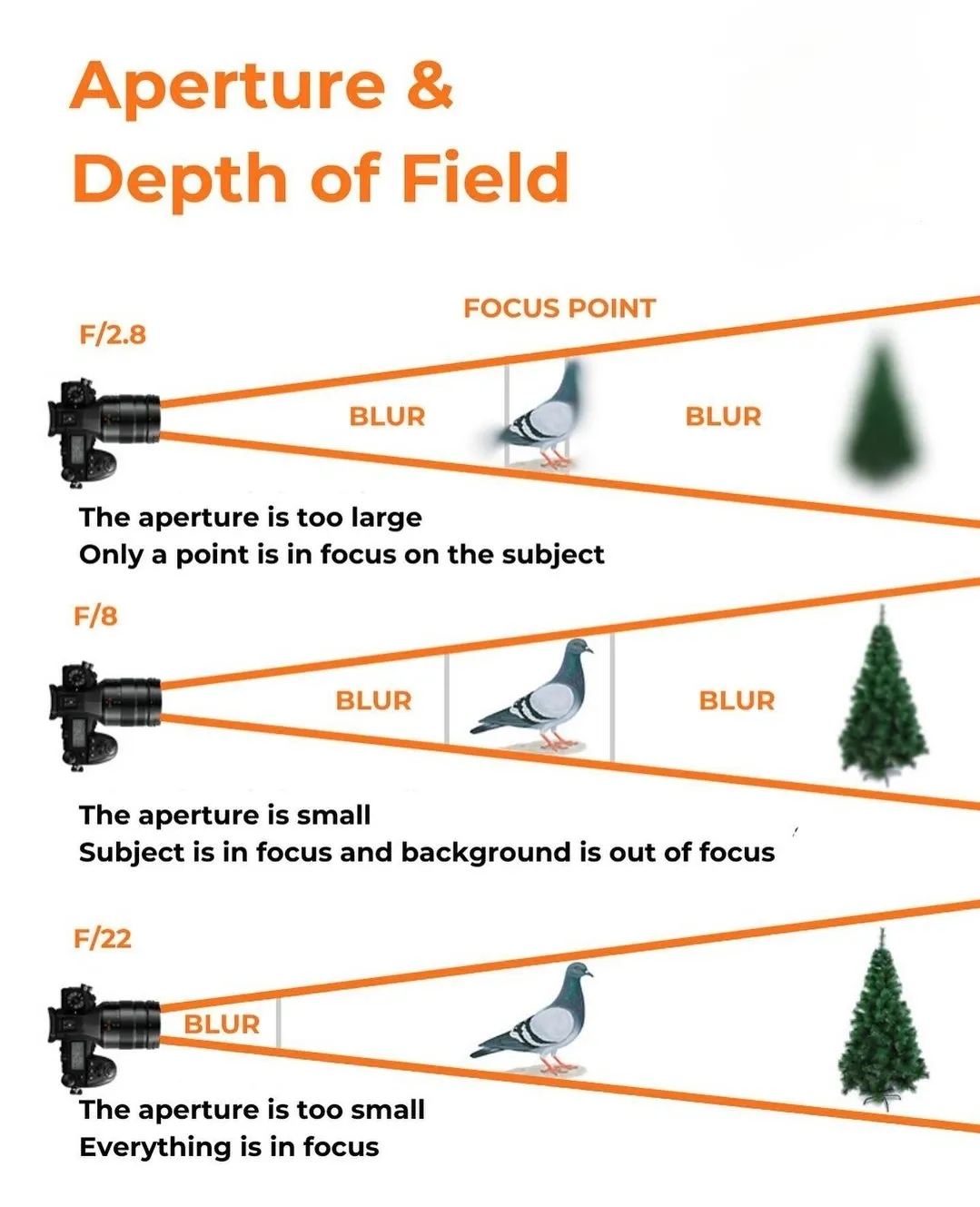 Photography Cheat Sheets || Camera Basics | แกลเลอรีที่โพสต์โดย Shadzy ...