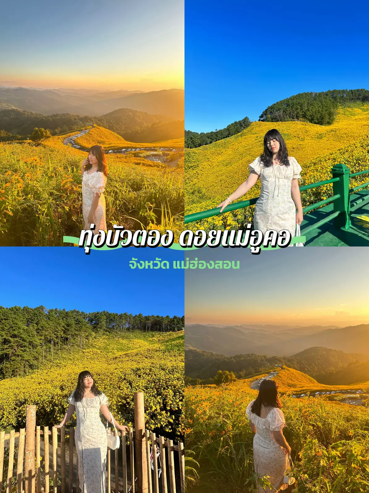 ทุ่งบัวตองดอยแม่อูคอ | แกลเลอรีที่โพสต์โดย CH OM | Lemon8