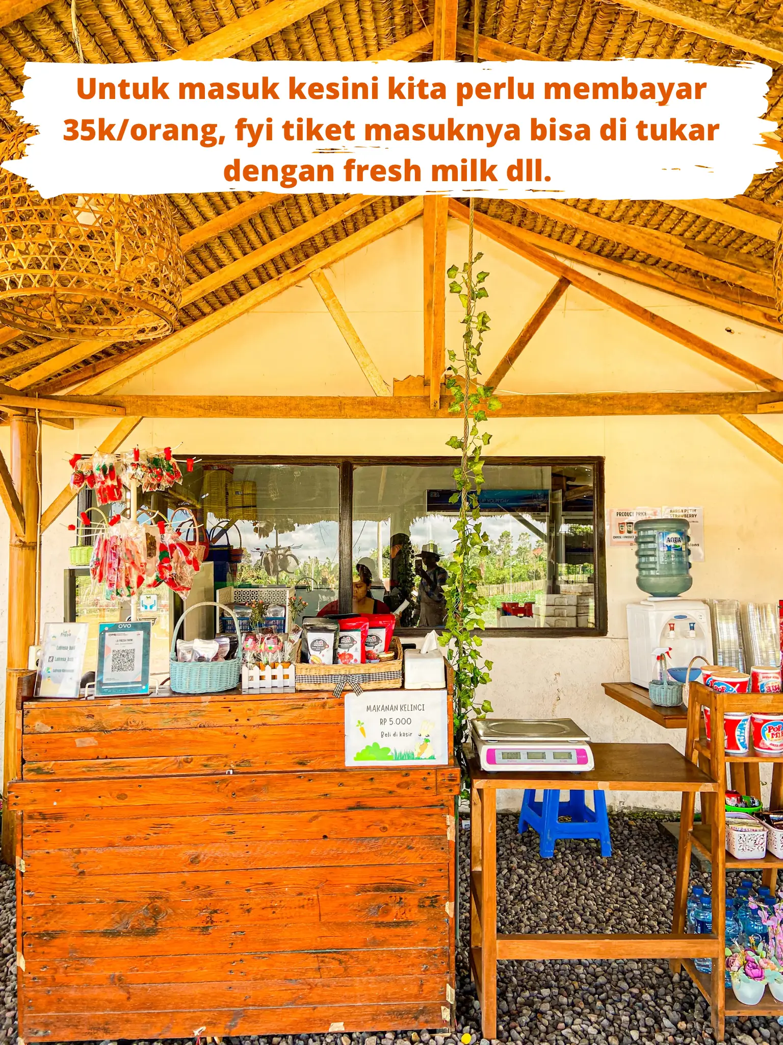 Rekomendasi Taman Bunga di Kintamani Bali 🌺🌼🌷 | Galeri diposting oleh ...