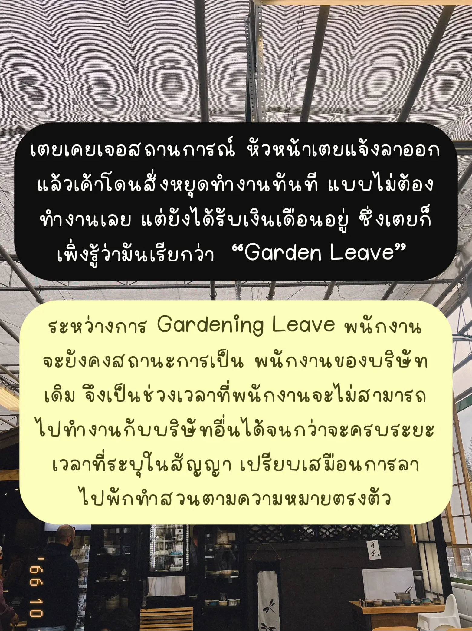 Garden Leave คืออะไร ได้เงินเดือนทั้งที่ลาออกแล้ว ! | แกลเลอรีที่โพสต์โดย Baitoey | Lemon8