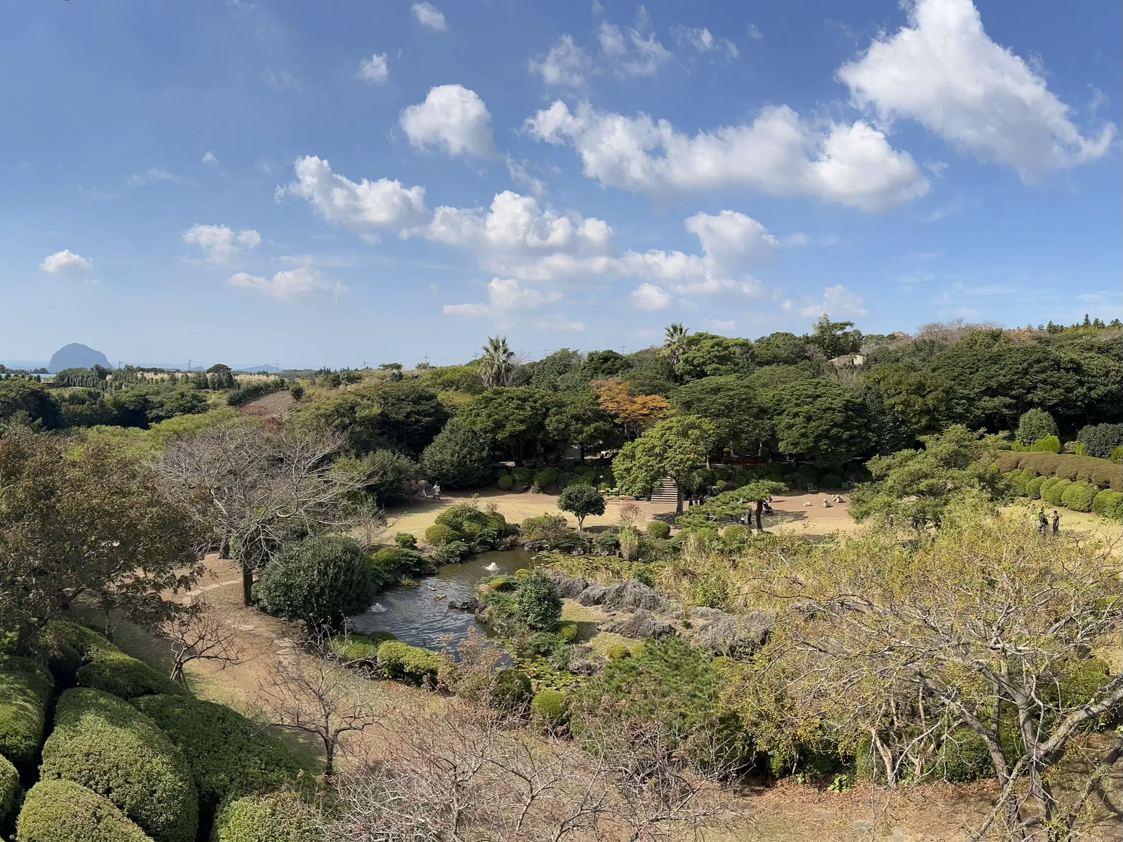 🇰🇷First time in Soju land | Jeju leg | Day 1 a.m. | Gallery posted by ...