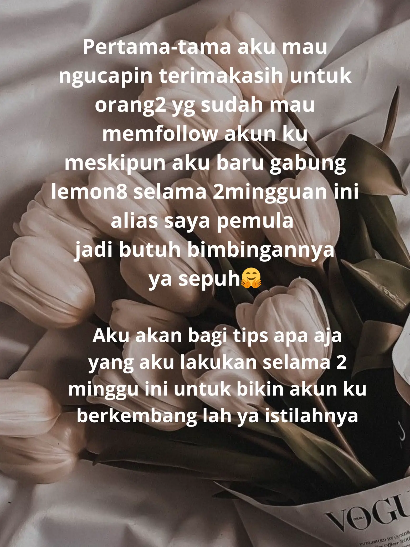 Tips konten kreator pemula Lemon8 | Galeri diposting oleh Lafiyaaa | Lemon8