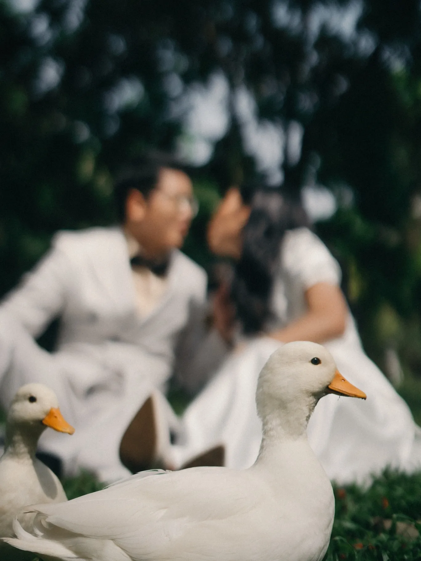 Ep1- pre - wedding แบบที่ชอบ แบบที่ใช่ | แกลเลอรีที่โพสต์โดย Bew prapapun | Lemon8