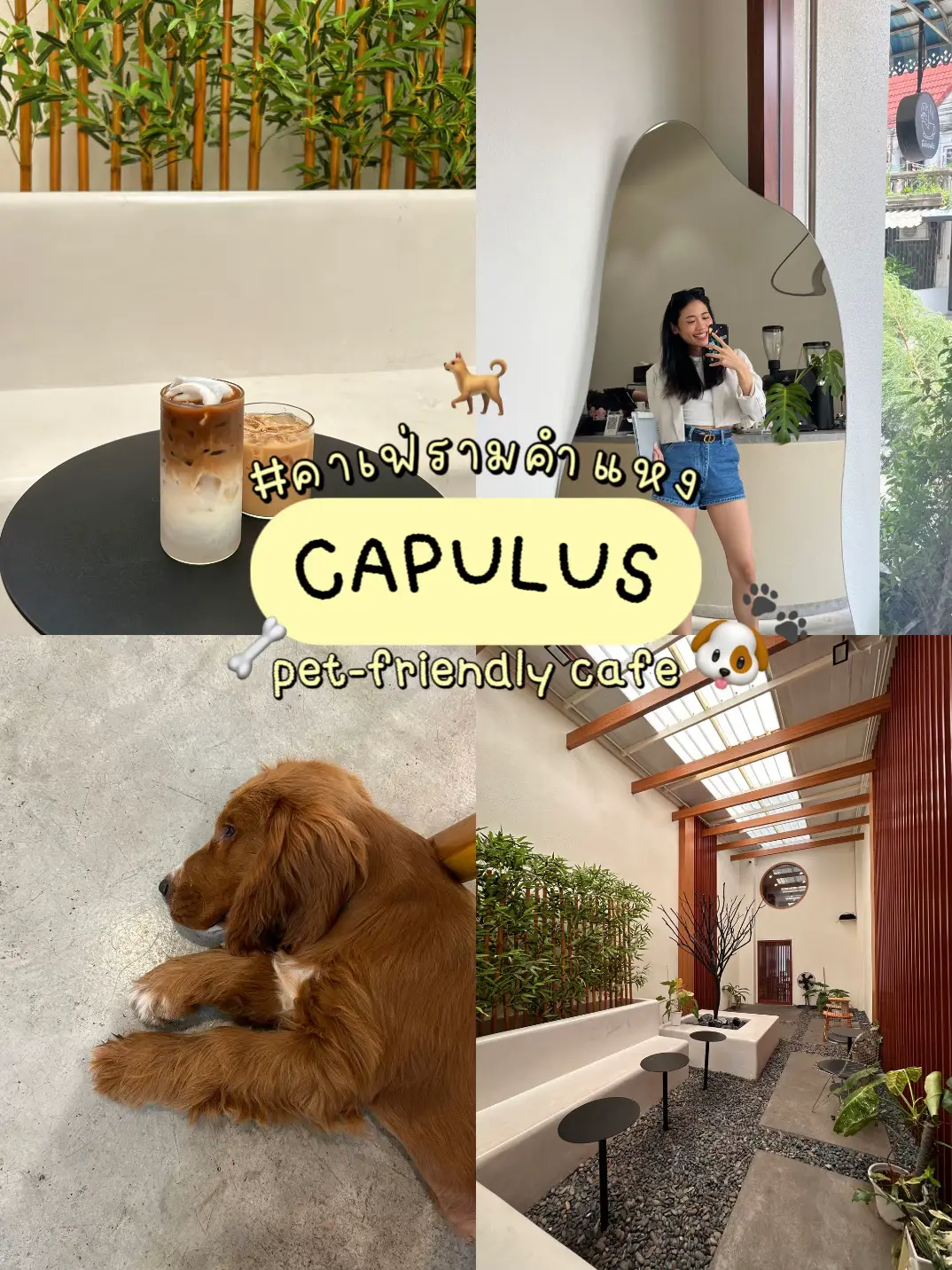 CAPULUS : Pet friendly cafe รามคำแหง ☕️🐕🐾 | แกลเลอรีที่โพสต์โดย nnok • ͜ʖ• | Lemon8
