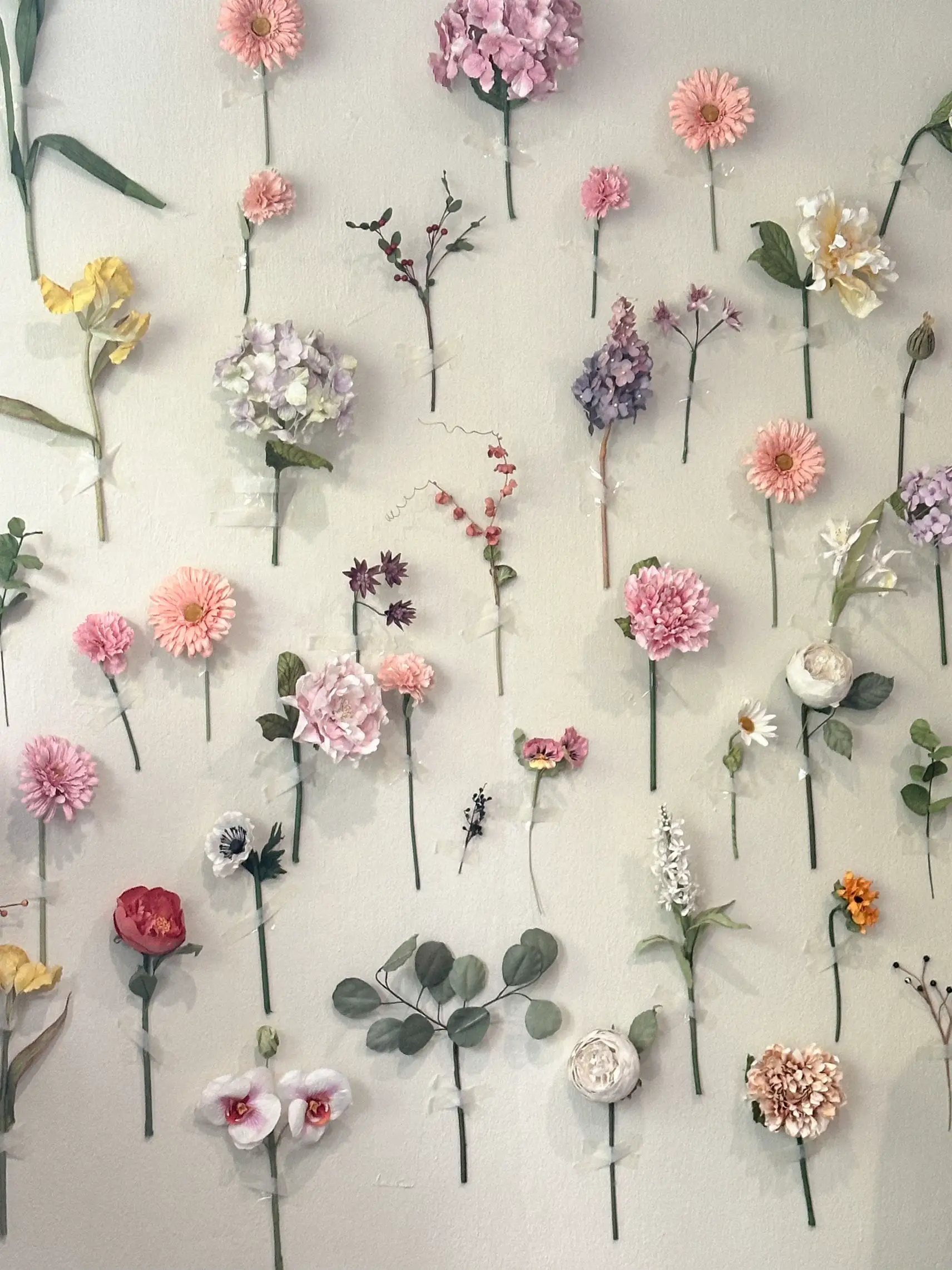 The Dancing Flower Exhibition 💐🌱 | แกลเลอรีที่โพสต์โดย 🐜 | Lemon8