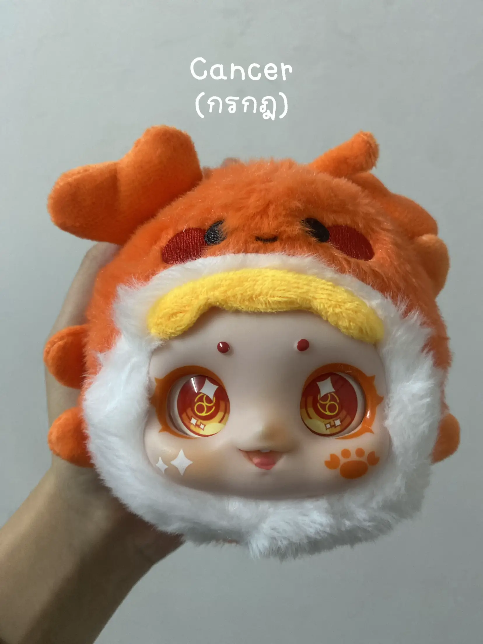 สุ่มอีกครั้งกับ กล่องสุ่ม12ราศี | แกลเลอรีที่โพสต์โดย Devil ψ(`∇´)ψ | Lemon8