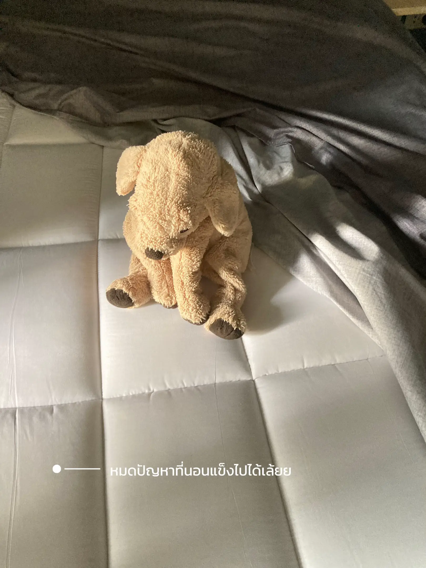 Topper 1 in mind 😻🫶🏻🛏️ | Gallery posted by i lyprae | Lemon8