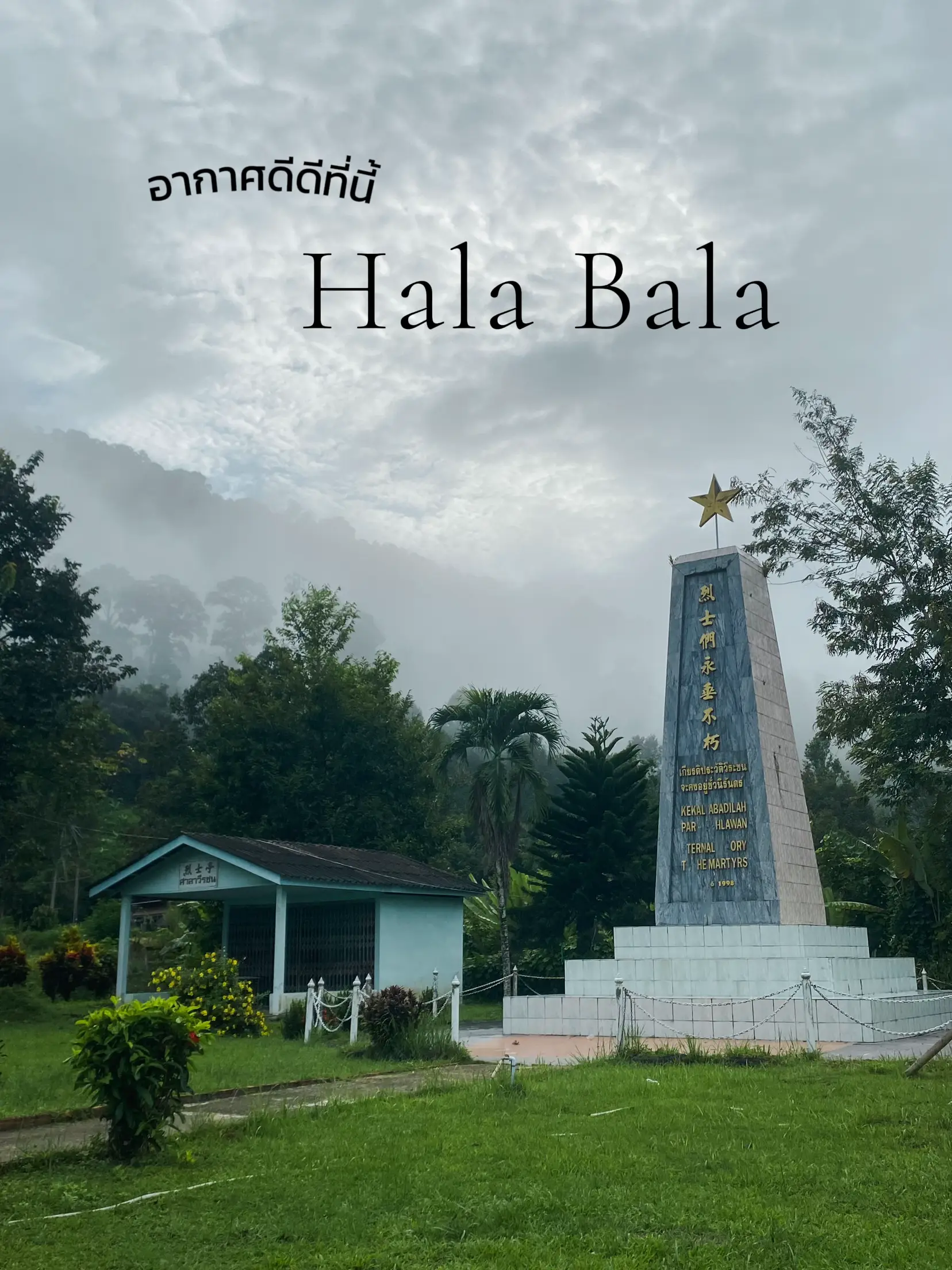 Hala Bala | แกลเลอรีที่โพสต์โดย Ling Ping | Lemon8