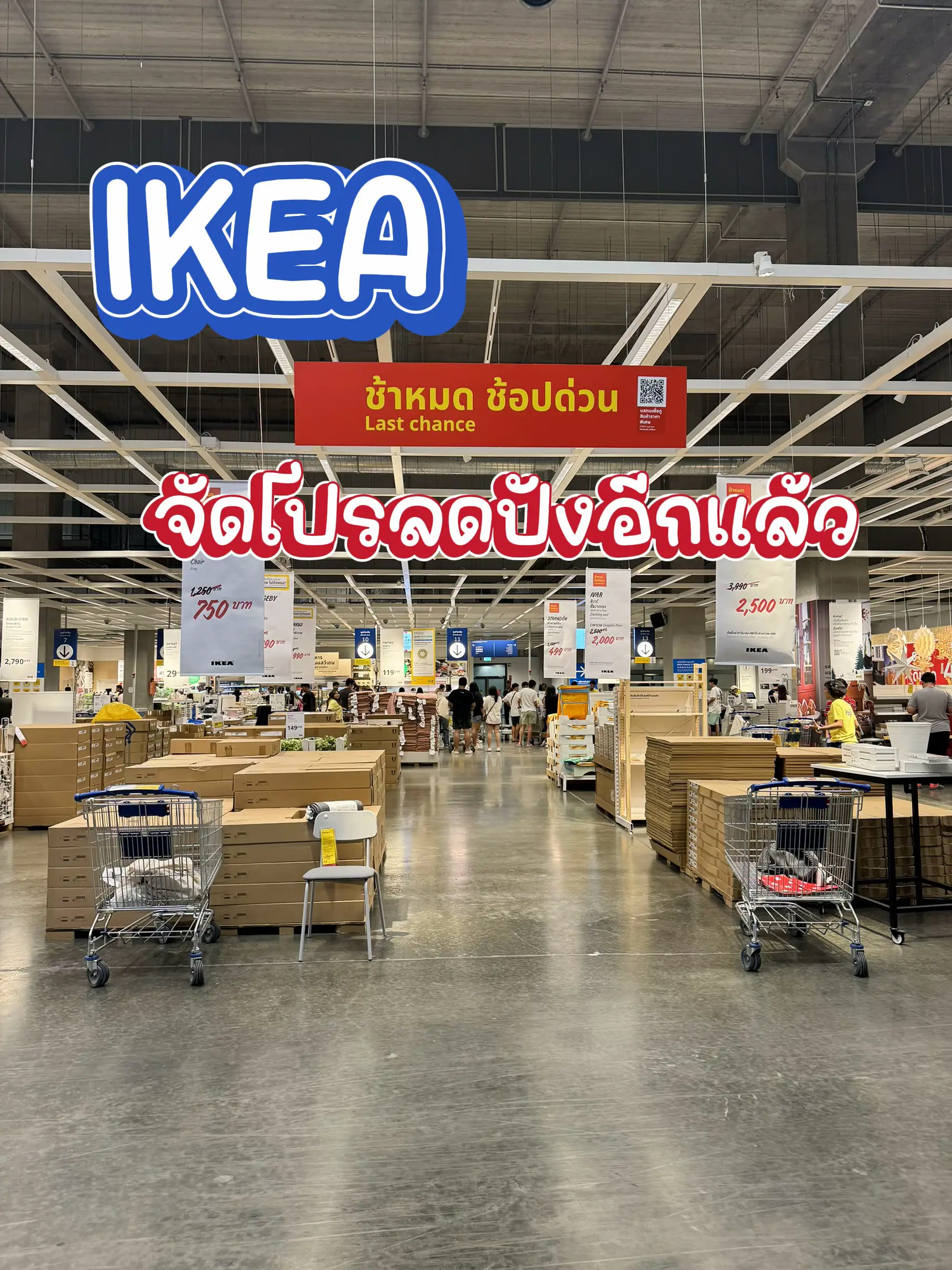 update ikea2025 ของน่าซื้อ🧡💜💗 | แกลเลอรีที่โพสต์โดย wadee.stuff | Lemon8