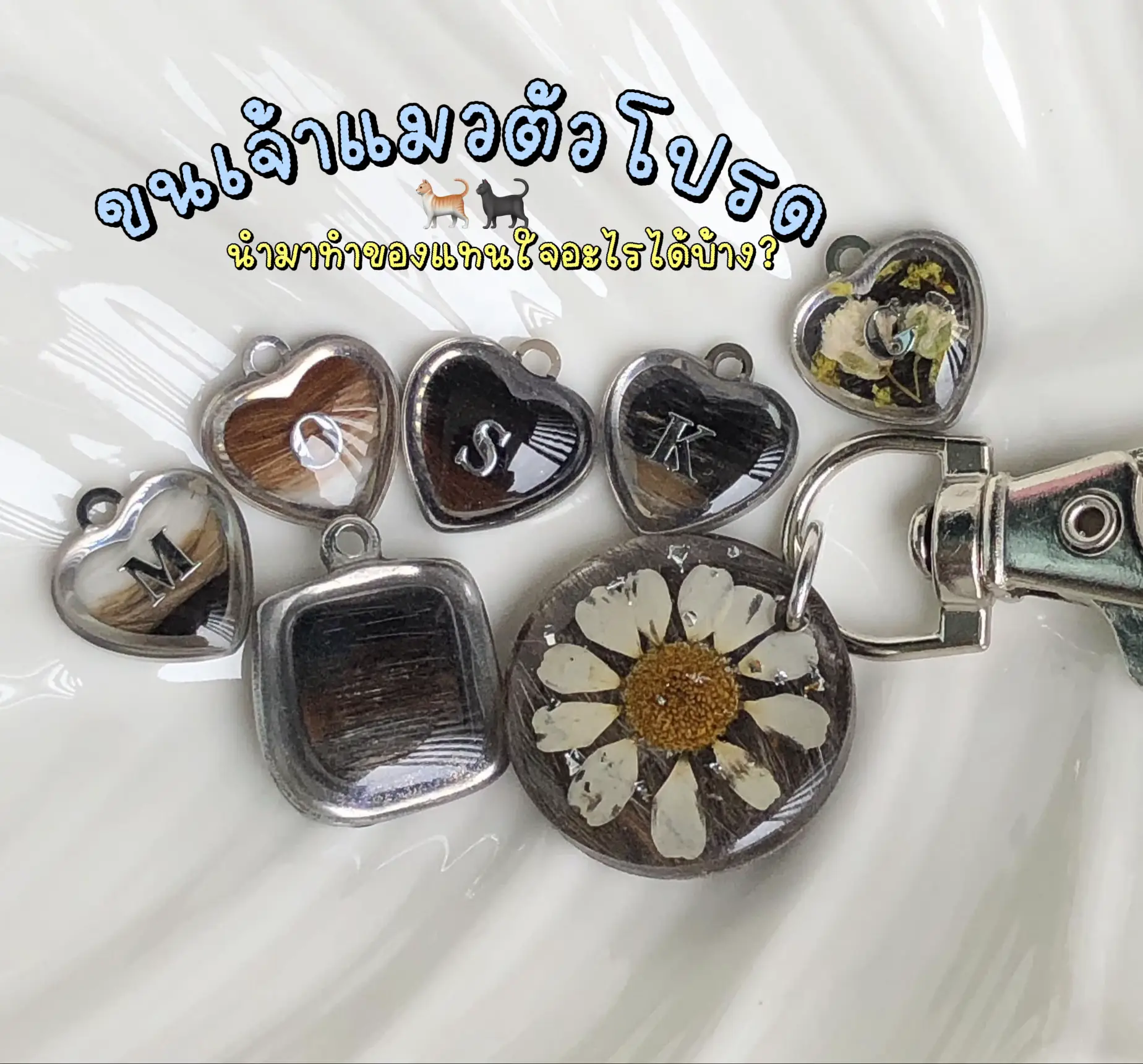 ขนเจ้าแมวตัวโปรด นำมาทำเครื่องประดับแทนใจ🐈🐈‍⬛🤍 | แกลเลอรีที่โพสต์โดย memory.hmm | Lemon8