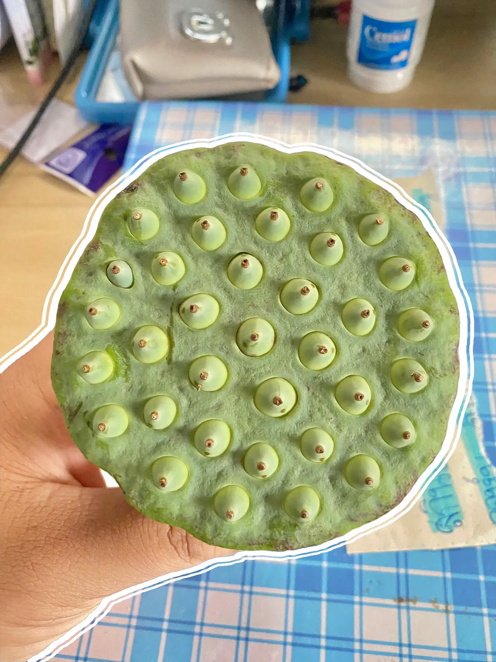 Day68🌈 What I eat in a day | แกลเลอรีที่โพสต์โดย Fah_fahfahfah | Lemon8