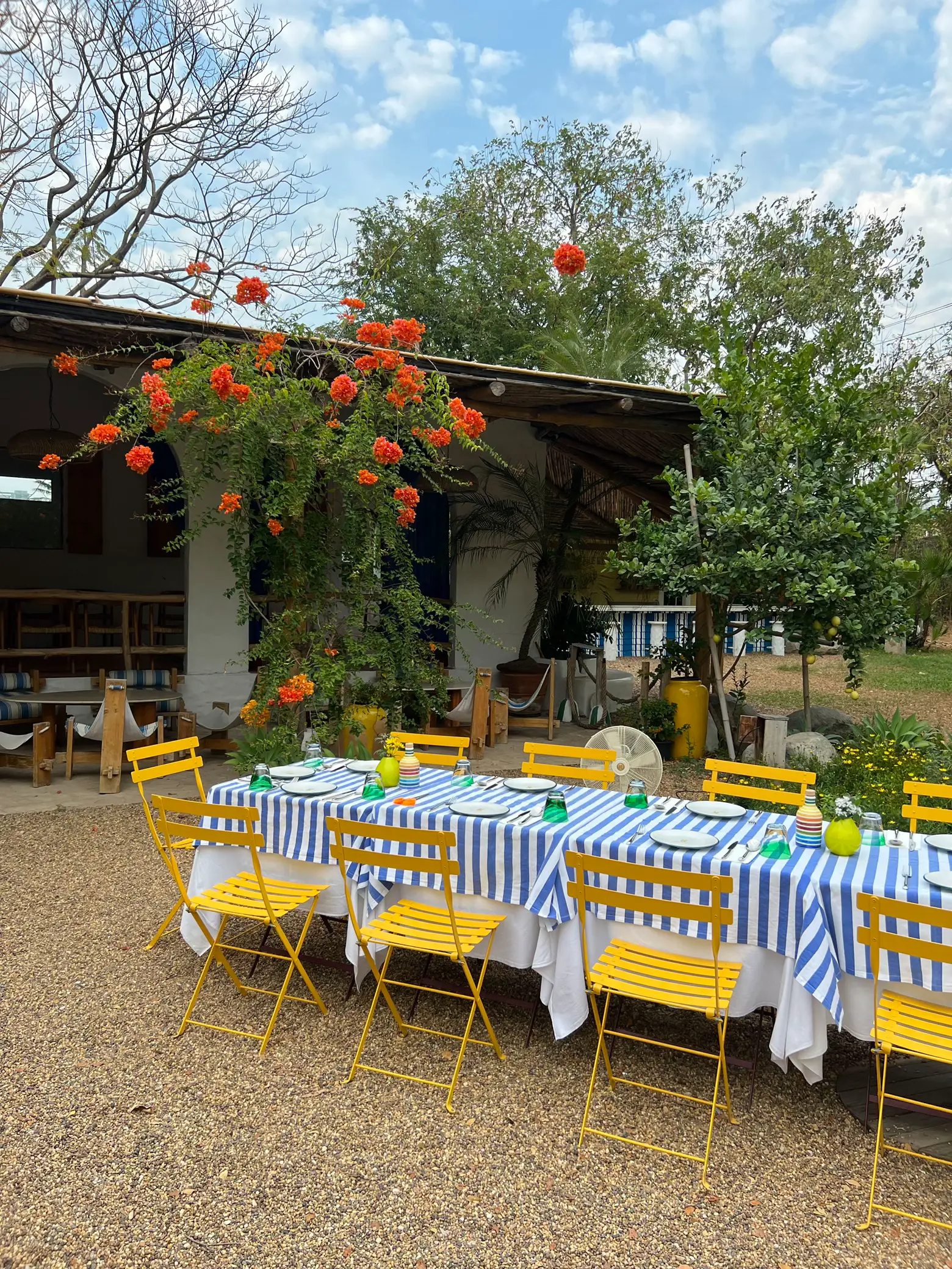 THE REISE ร้านอาหารอิตาเลียนกลางสวนเลม่อน🍋🍕🇫🇷 | แกลเลอรีที่โพสต์โดย Mya ...