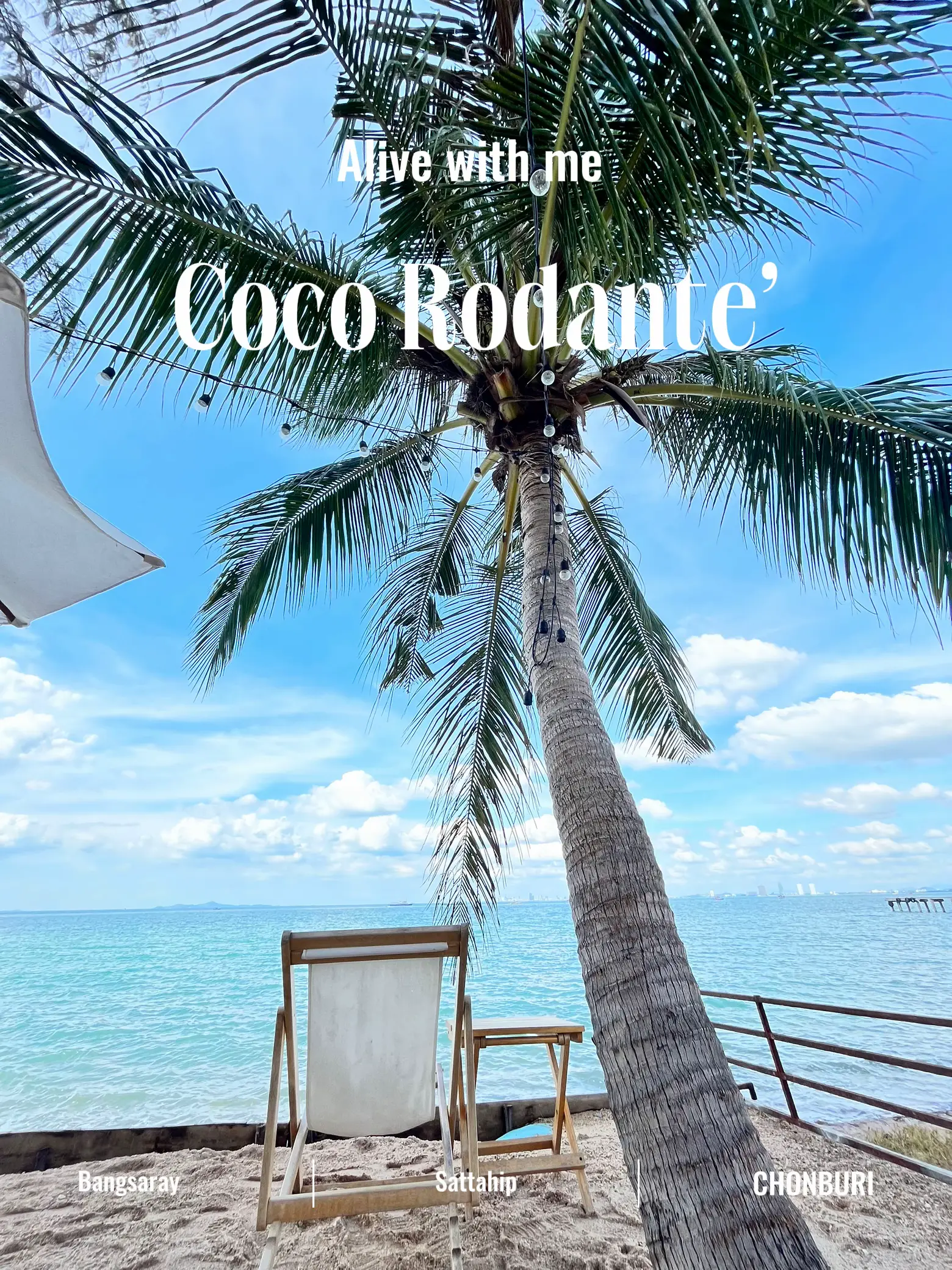 mexico trip to Valle de Guadalupe - การค้นหาใน Lemon8