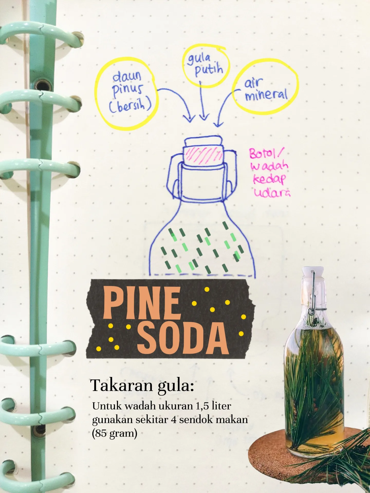 DIY soda : Pine Needle Soda | Galeri diposting oleh Gabriela Kasih | Lemon8