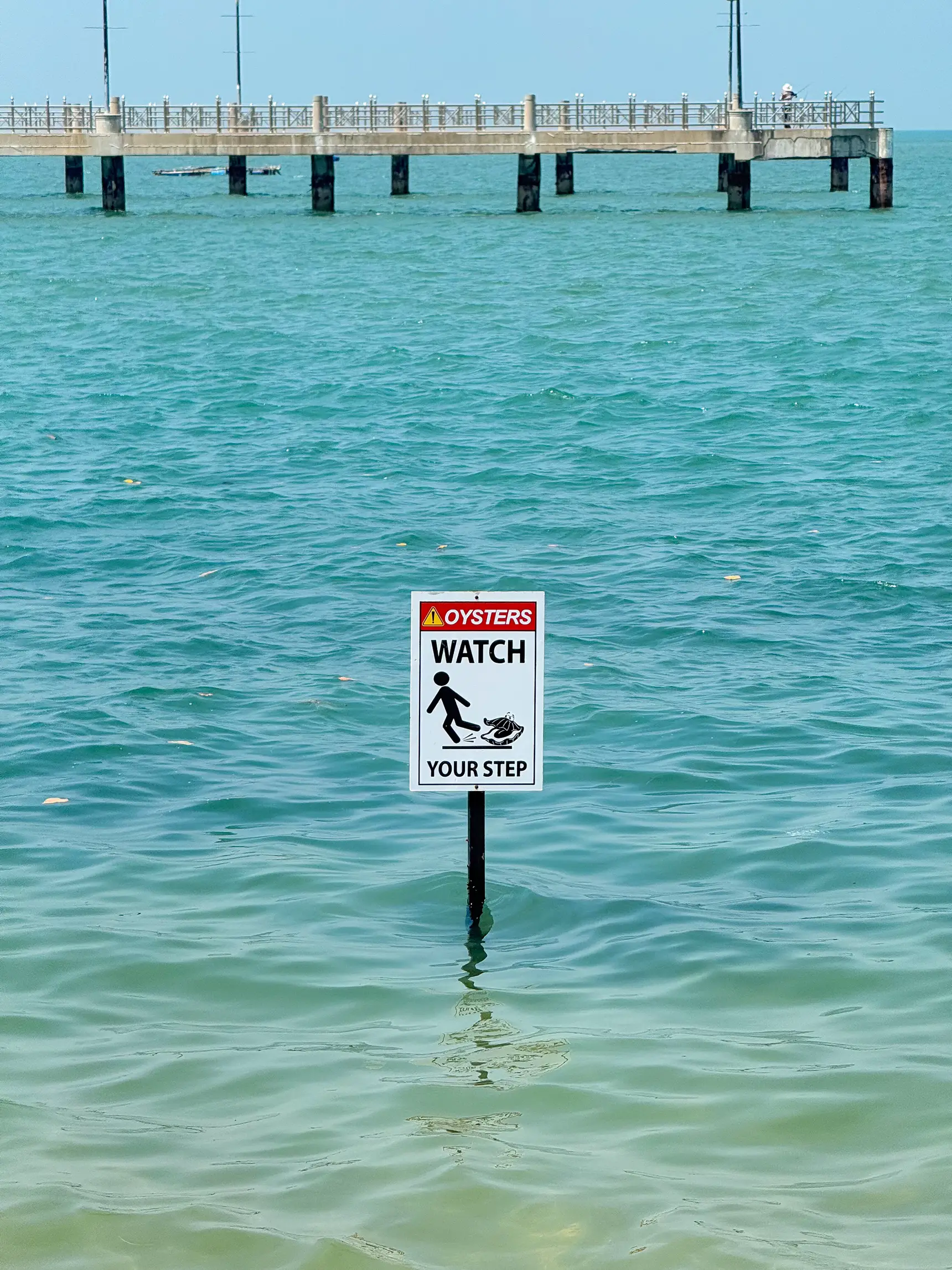 Tiny Island Cafe (BANGSAEN) 🏝️🌺 | แกลเลอรีที่โพสต์โดย P&P reviews | Lemon8