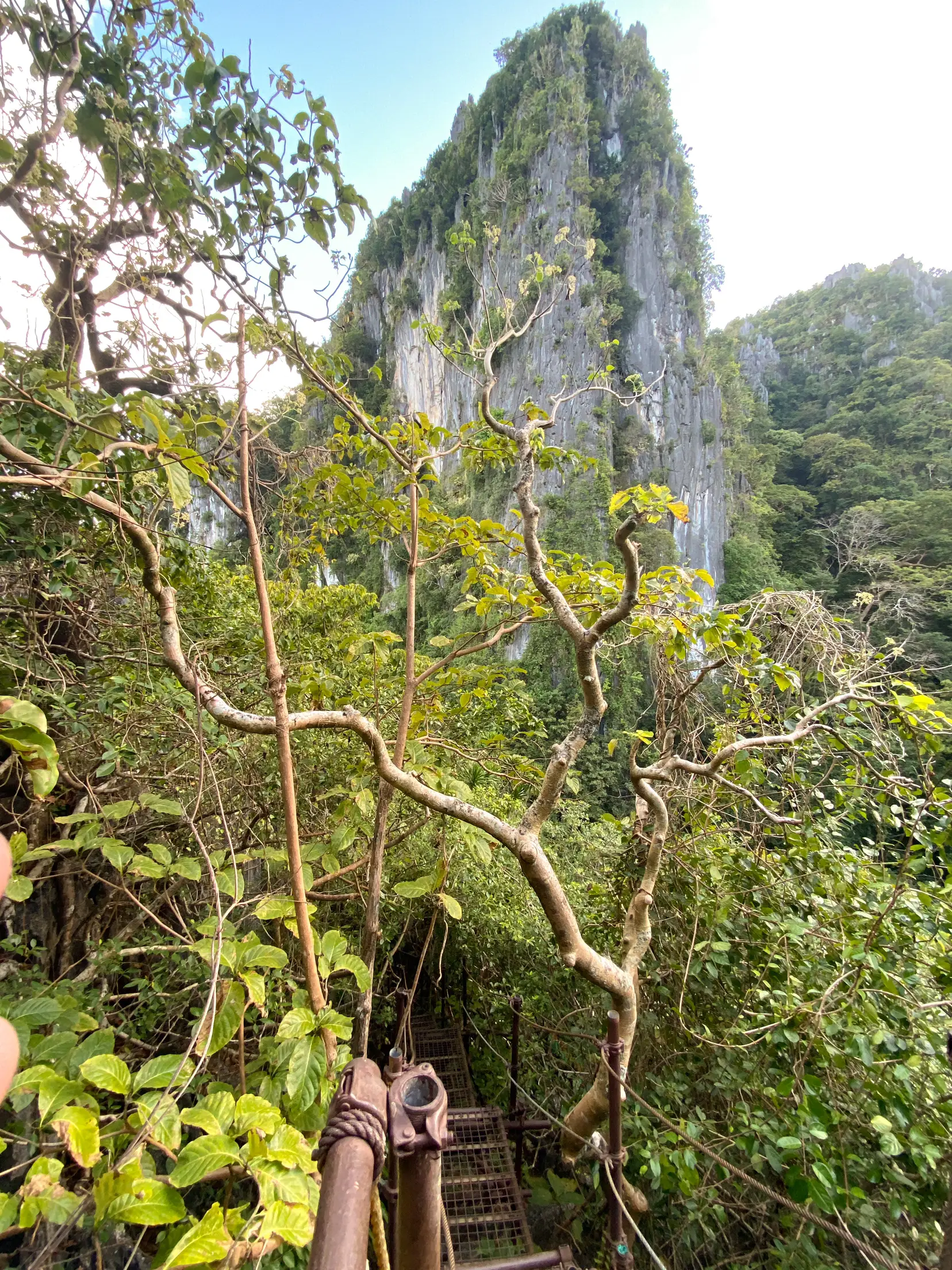 Canopy Walk (El Nido, Palawan) | Gallery posted by modvstheworld | Lemon8