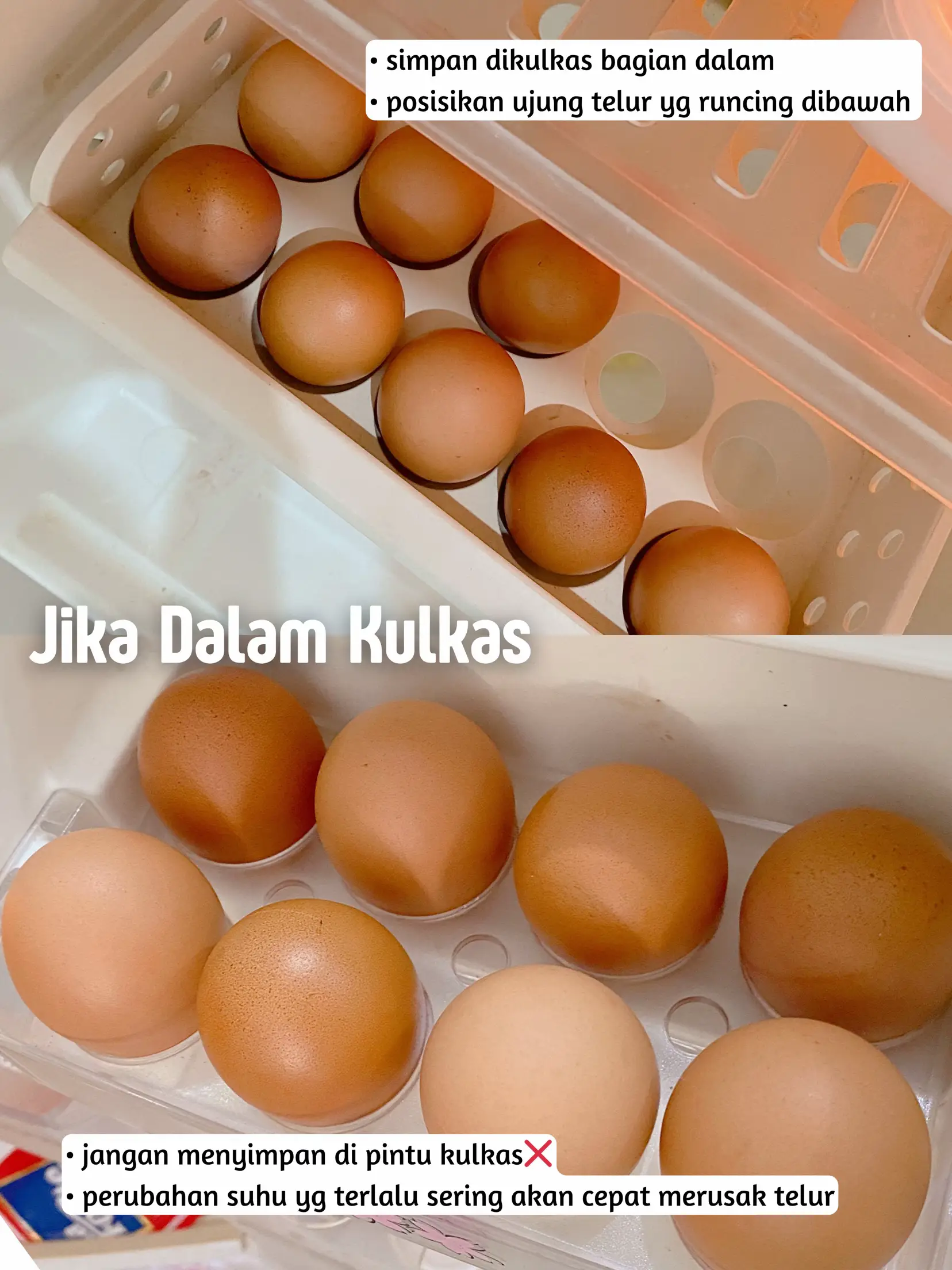 Tips Anak Kos: Cara Menyimpan Telur 🍳 | Galeri disiarkan oleh Wils Home ...