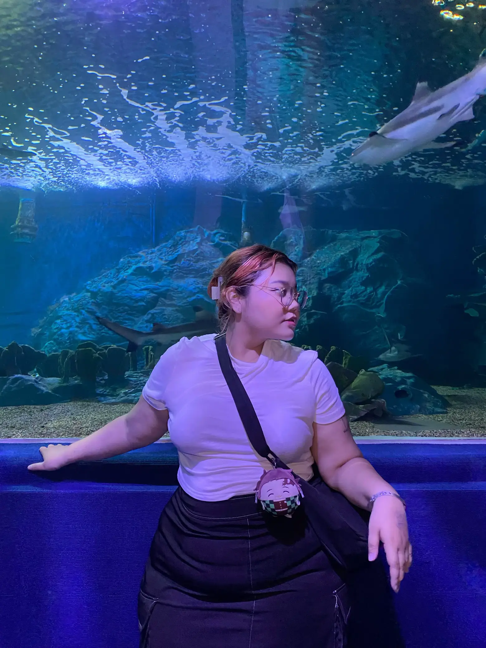 Chiangmai Zoo 2024 🦈🫧 | แกลเลอรีที่โพสต์โดย Kanjana Bow | Lemon8