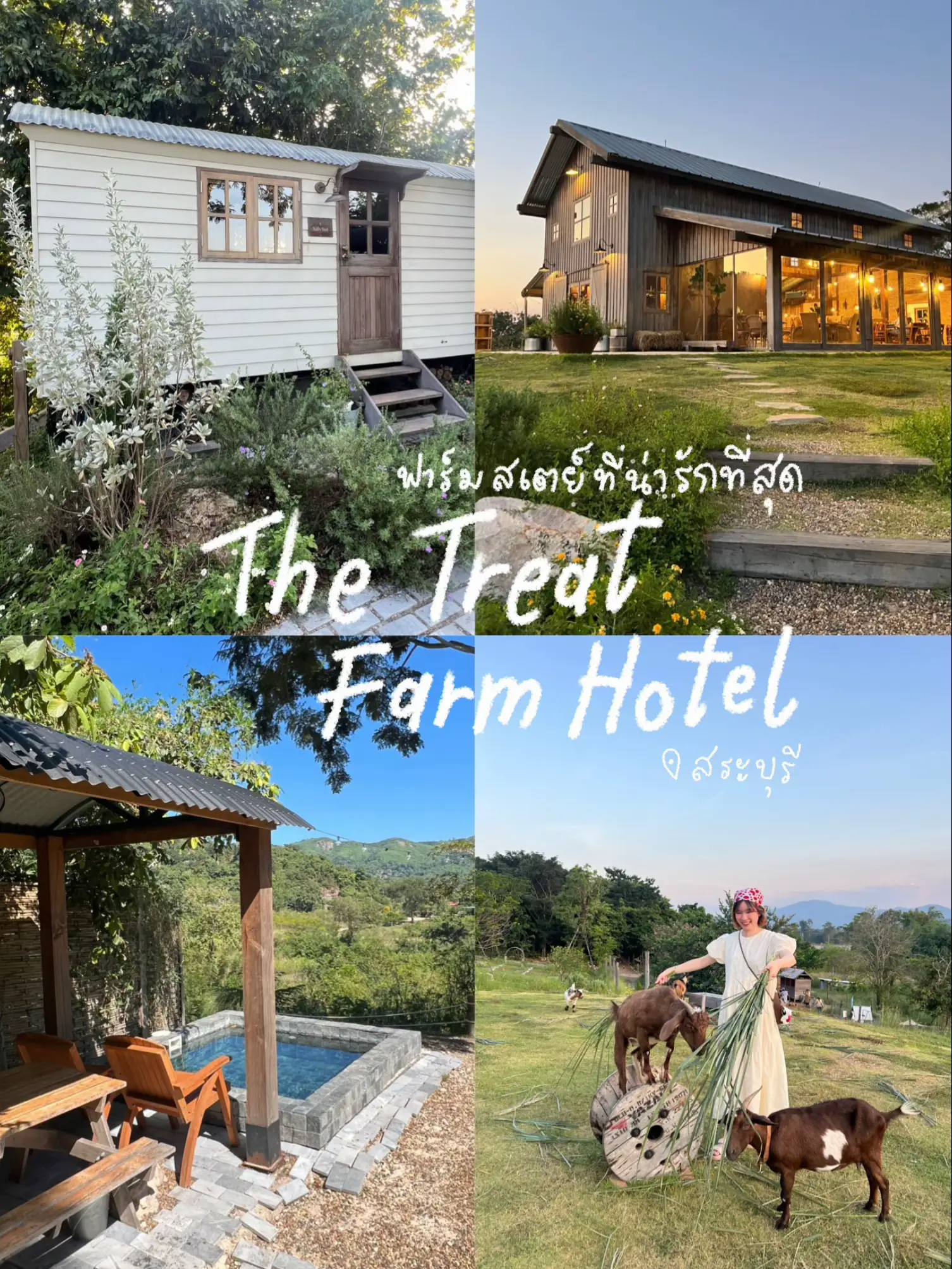 🌲The Treat Farm Hotel 🌼 ฟาร์มสเตย์สุดคิ้วท์* 🐐🐓 | แกลเลอรีที่โพสต์โดย ...