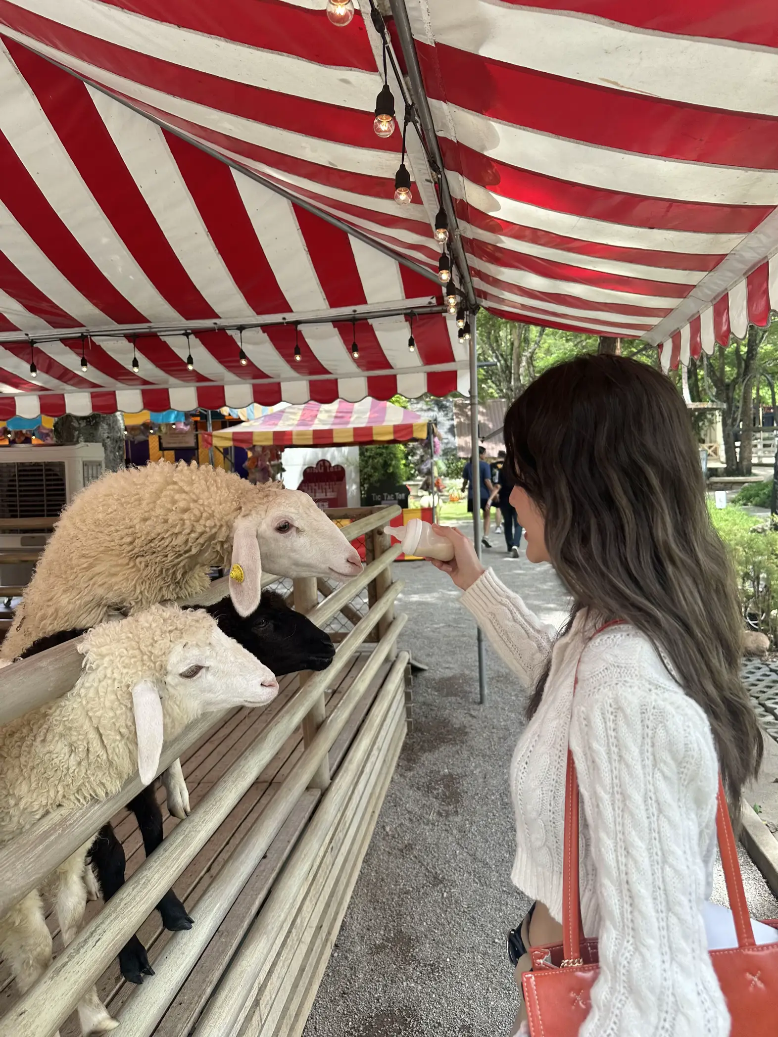 OOTD TRAVEL In The scenery vintage farm | แกลเลอรีที่โพสต์โดย Eingspttt ...