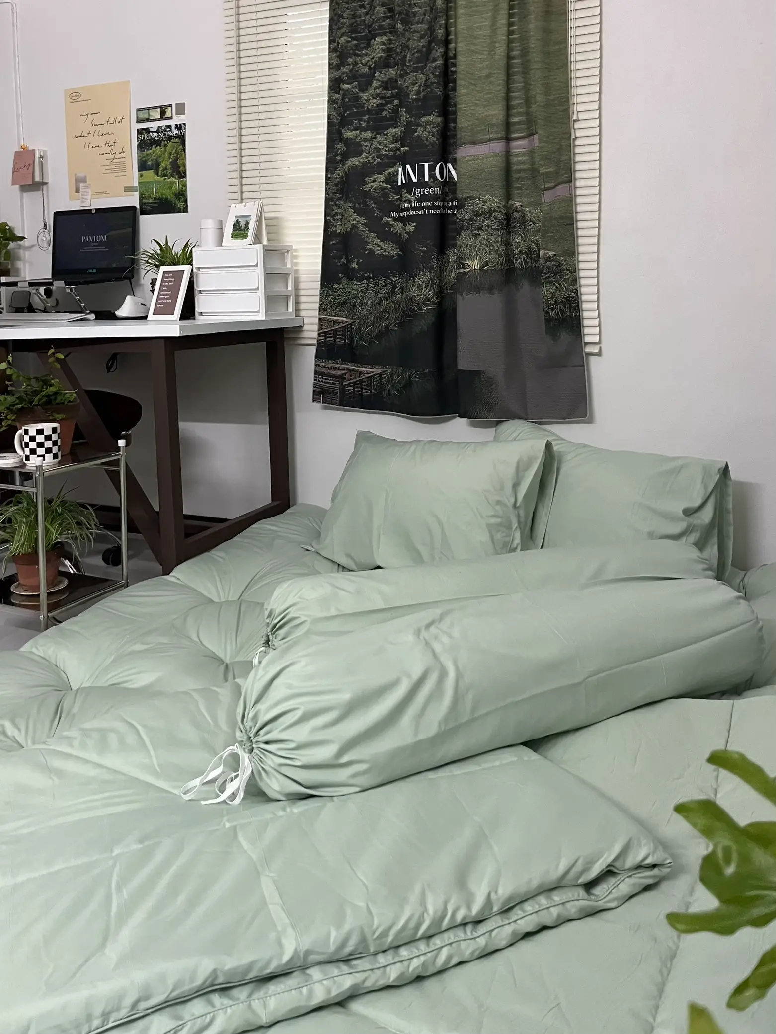 greenterior room แต่งห้องให้เป็นป่า ตามประสาคนสายเขียว | แกลเลอรีที่โพสต์โดย yoonaart | Lemon8