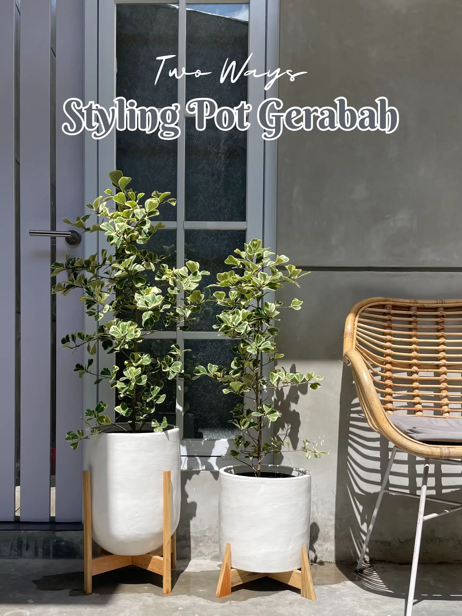 Ide Styling Pot Gerabah. | Video diterbitkan oleh casadelamoy | Lemon8