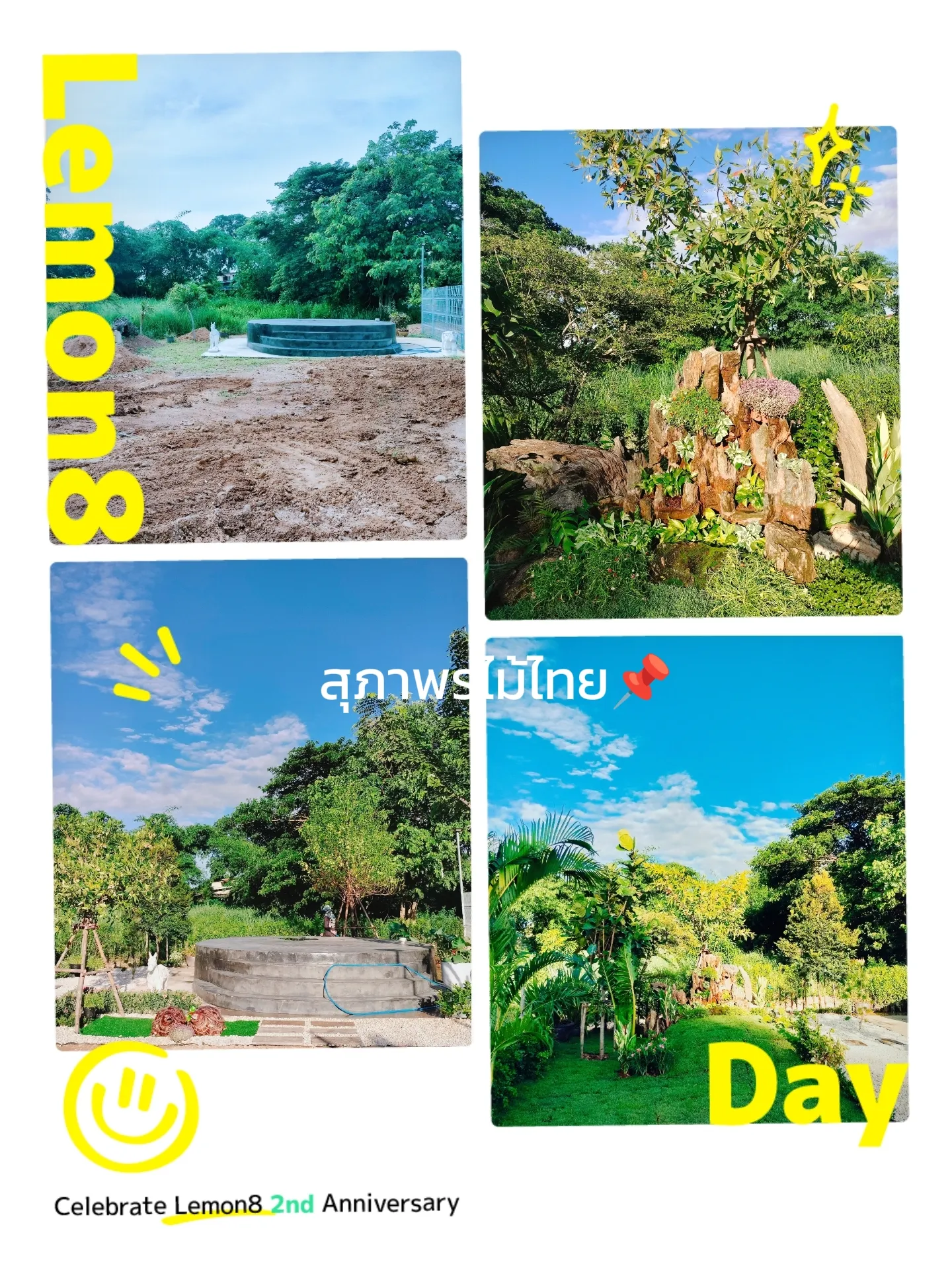 สุภาพรไม้ไทย📌 | แกลเลอรีที่โพสต์โดย TEERAPHAt | Lemon8