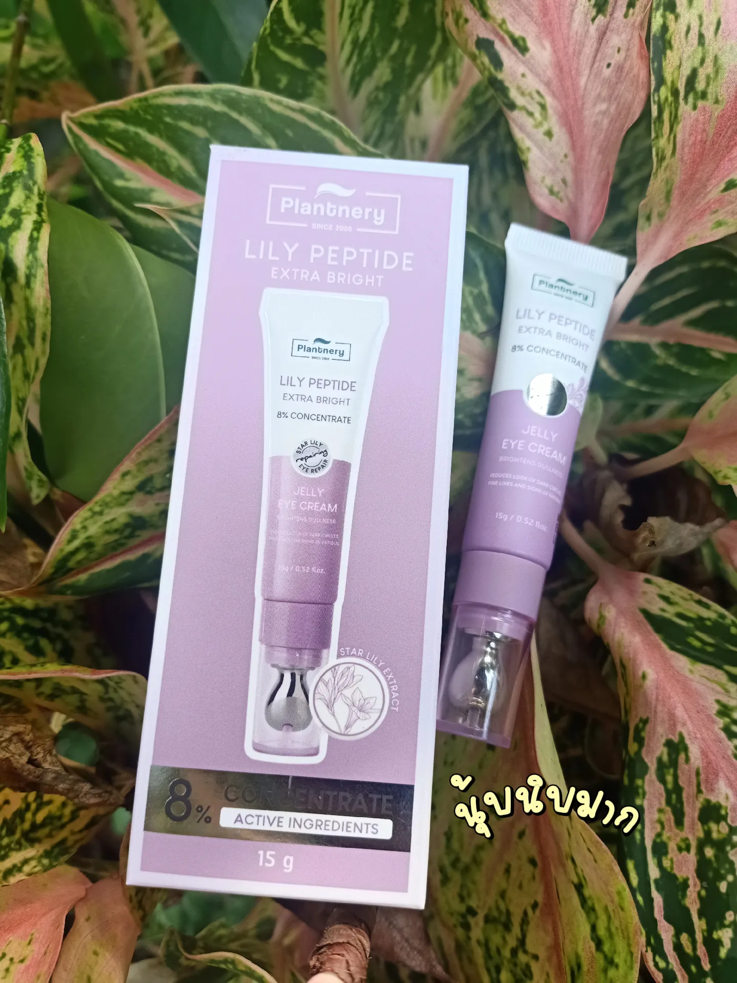 เจอแล้วววว อายครีมที่จริงใจ!!!!!!! | แกลเลอรีที่โพสต์โดย News.New | Lemon8