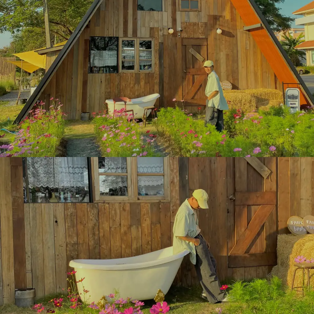 Faifo Forest • korat 🌸📸 #ไฟโฟ่ส่งท้ายซีซั่นสาม | แกลเลอรีที่โพสต์โดย เพจไปกับลุง | Lemon8