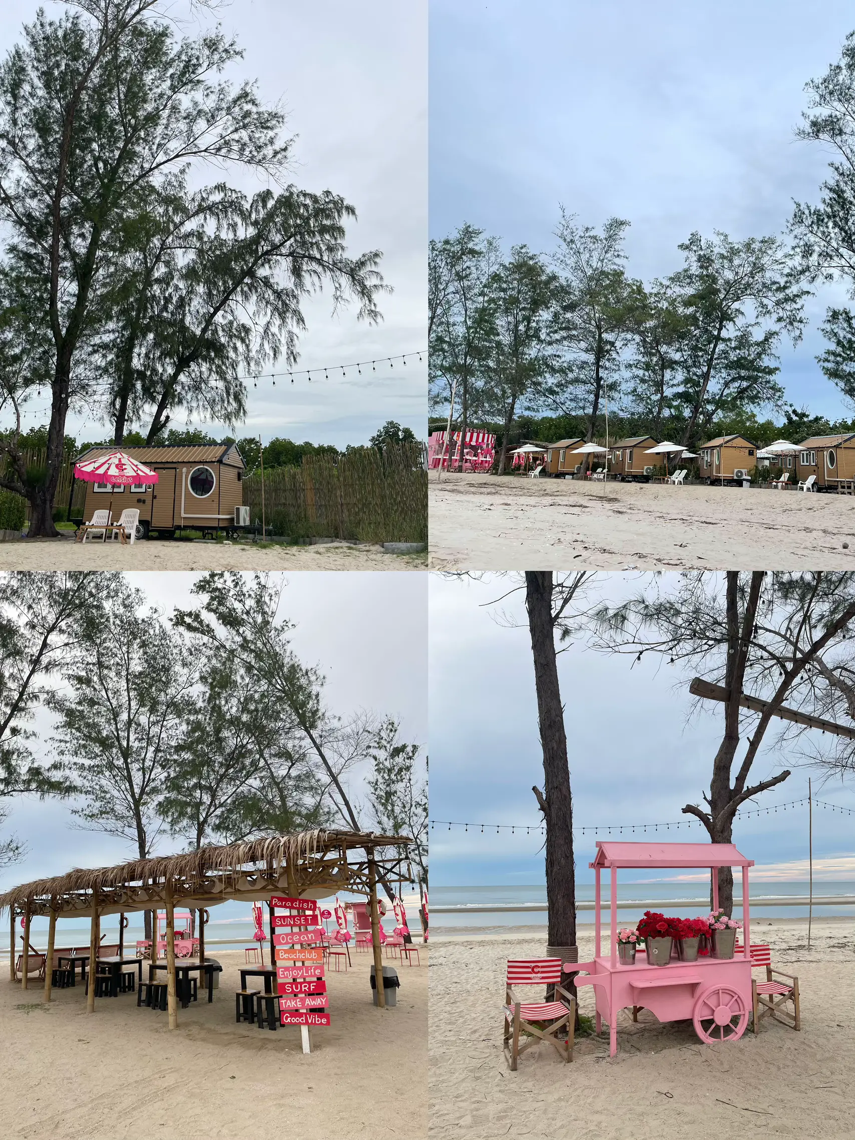 CELSIUS Beach x Cafe | แกลเลอรีที่โพสต์โดย Soysmith🔆 | Lemon8