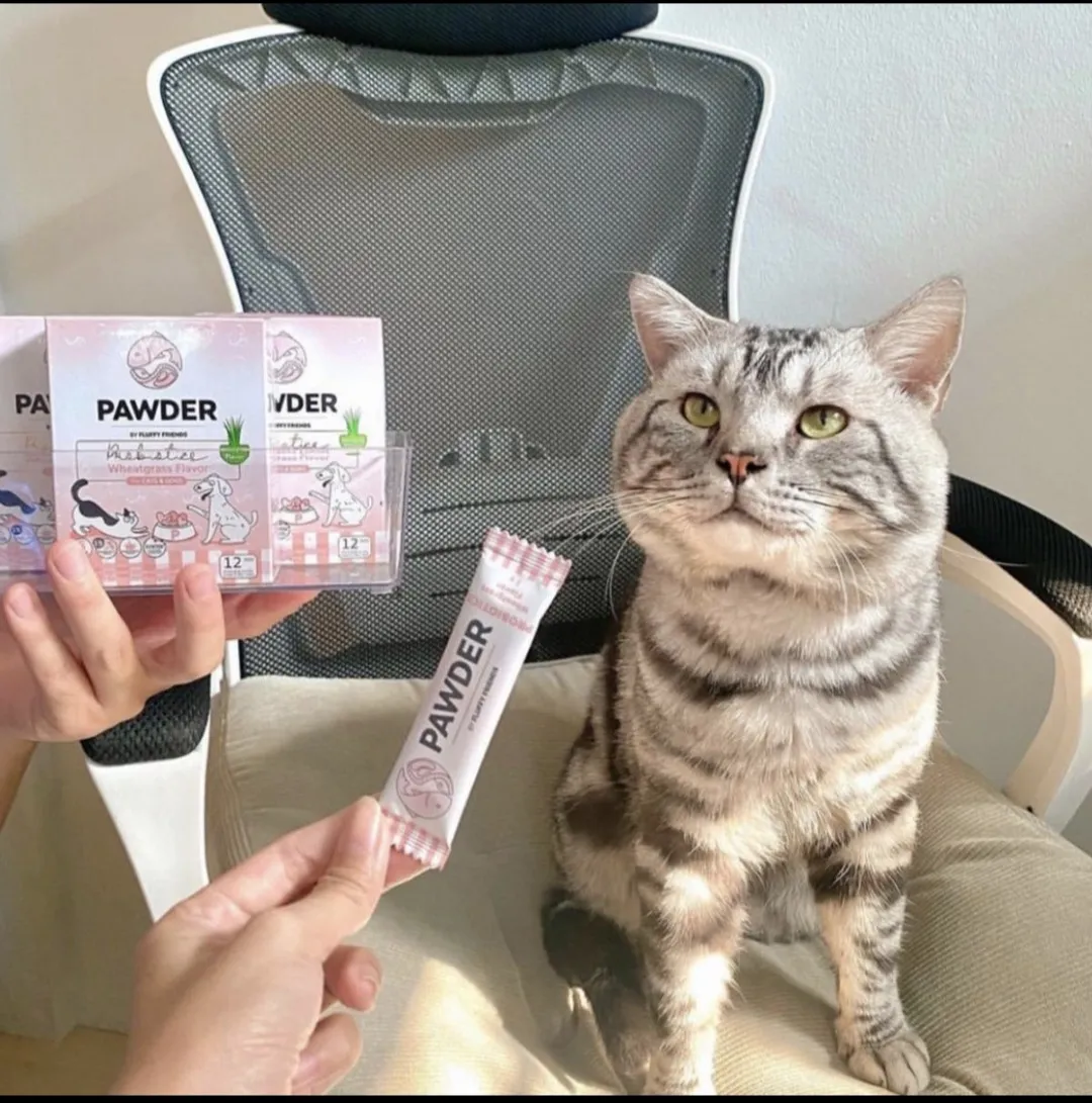 แนะนำผงอาหารเสริม PAWDER ให้เจ้านาย 😍 | แกลเลอรีที่โพสต์โดย Sahaimeow ...